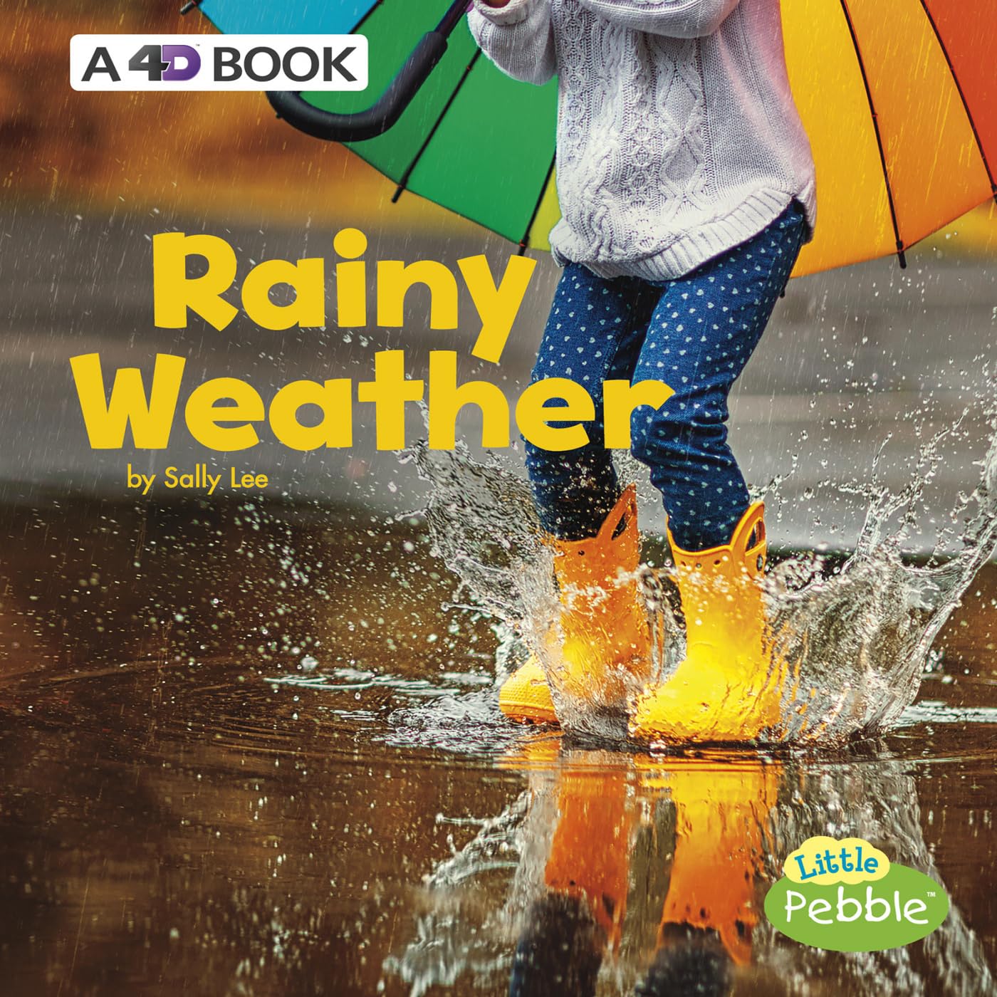 Rainy Weather: A 4D Book (All Kinds of Weather): Lee, Sally ...
