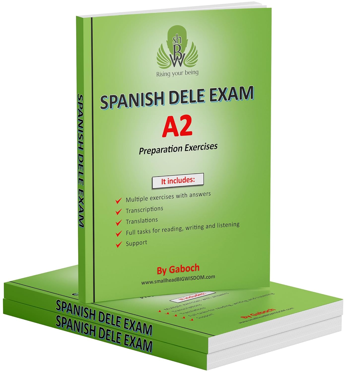 SPANISH DELE EXAM - Level A2: Preparation Exercises with answers ...