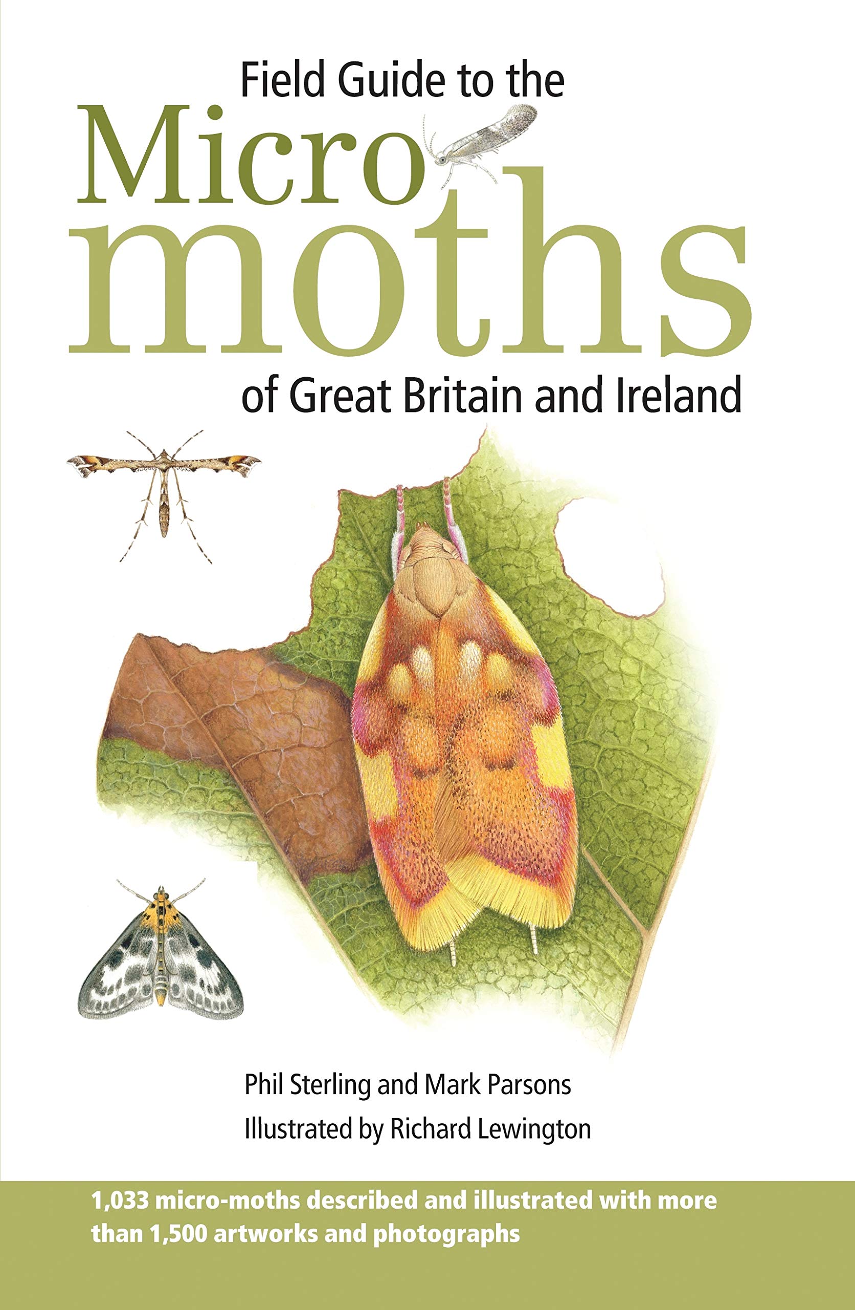 Field Guide to the Micro-Moths of Great Britain and Ireland (Bloomsbury ...