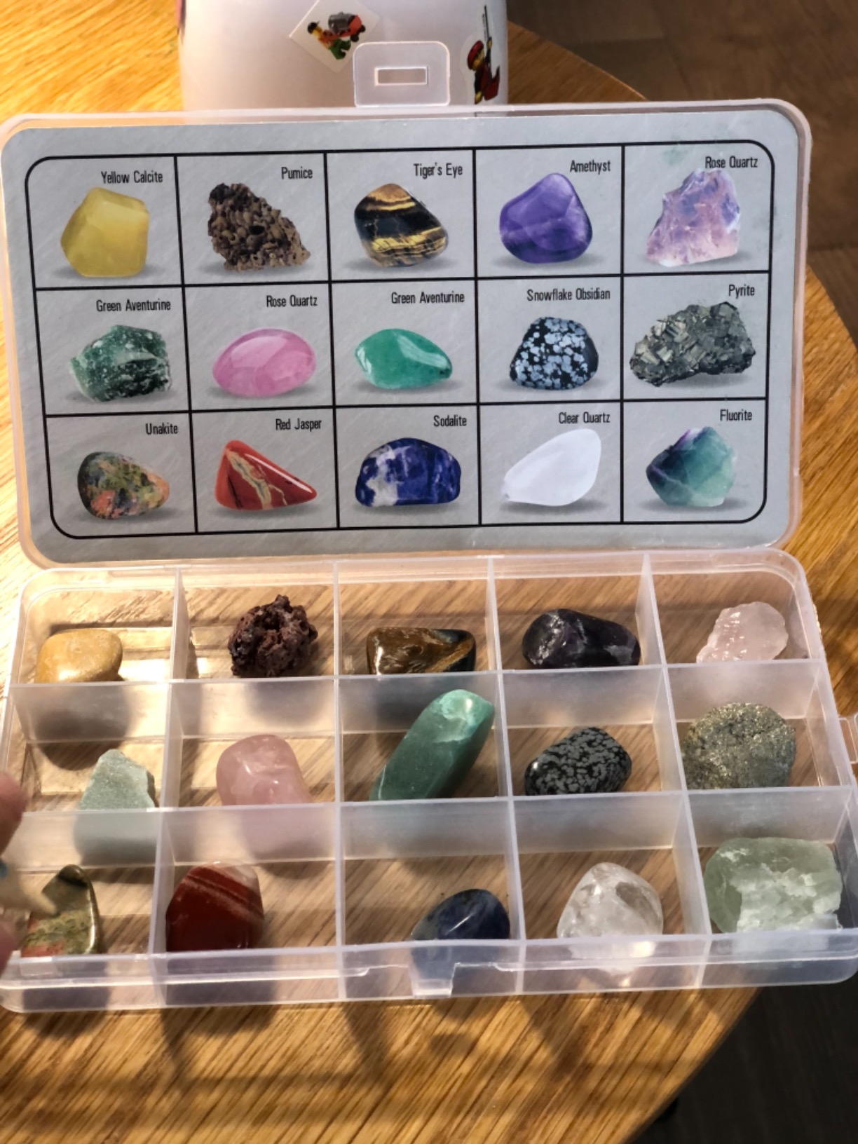 XXTOYS Rocks Collection - 15 Natural Rock Collections for Kids - Cool ...