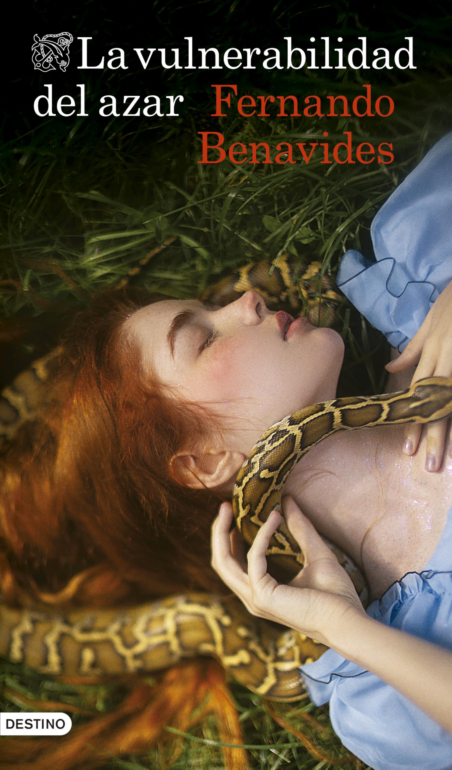 La vulnerabilidad del azar : Fernando Benavides: Amazon.com.mx: Libros