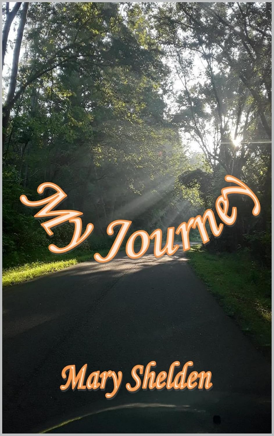 My Journey (Escape from Darkness Book 7) eBook : Shelden, Mary : Amazon ...
