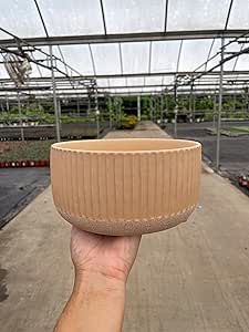 Amazon.com: 7 in. Ceramic Dual Tone Planter Pot (TAN) : Patio, Lawn ...