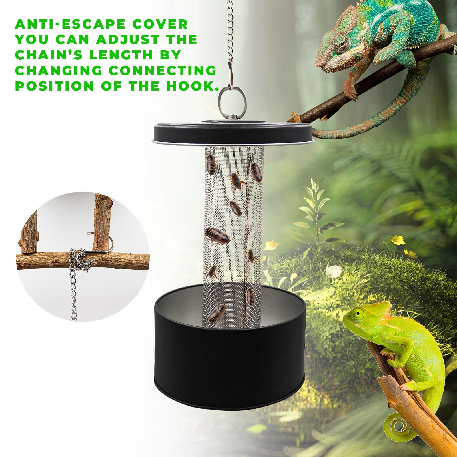 Cricket Keeper Chameleon Feeding Bearded Dragon Bug Bowl Reptile Feeder ...
