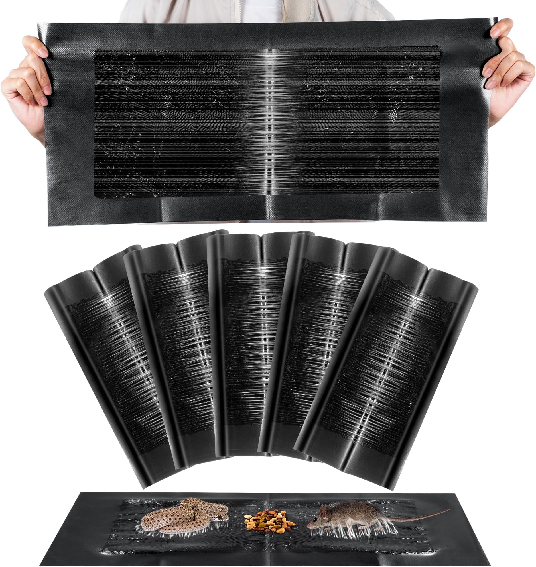 Amazon.com : 12 Pack Large Super Sticky Glue Traps for Mice and Rats ...