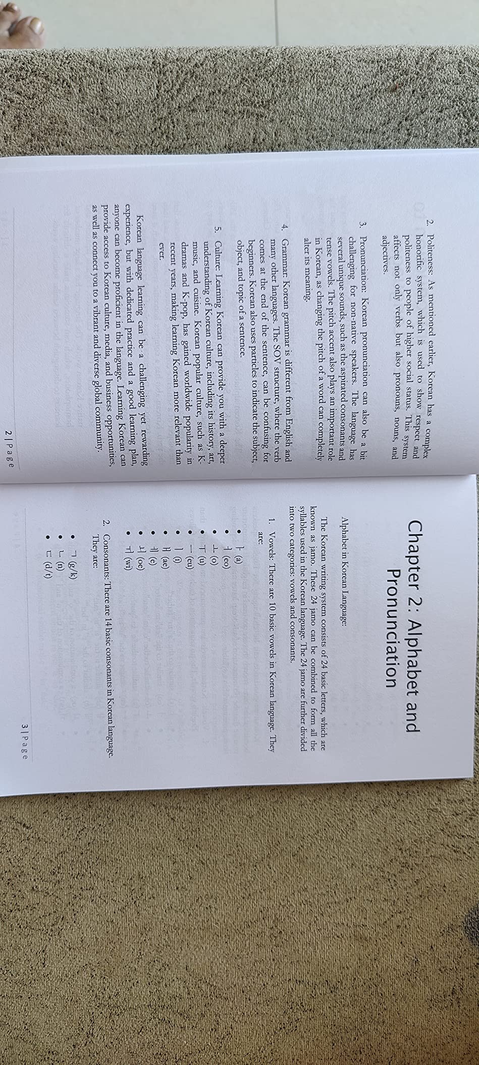 Buy Learn Korean for Beginners - Basic Korean Simplified for You Book ...