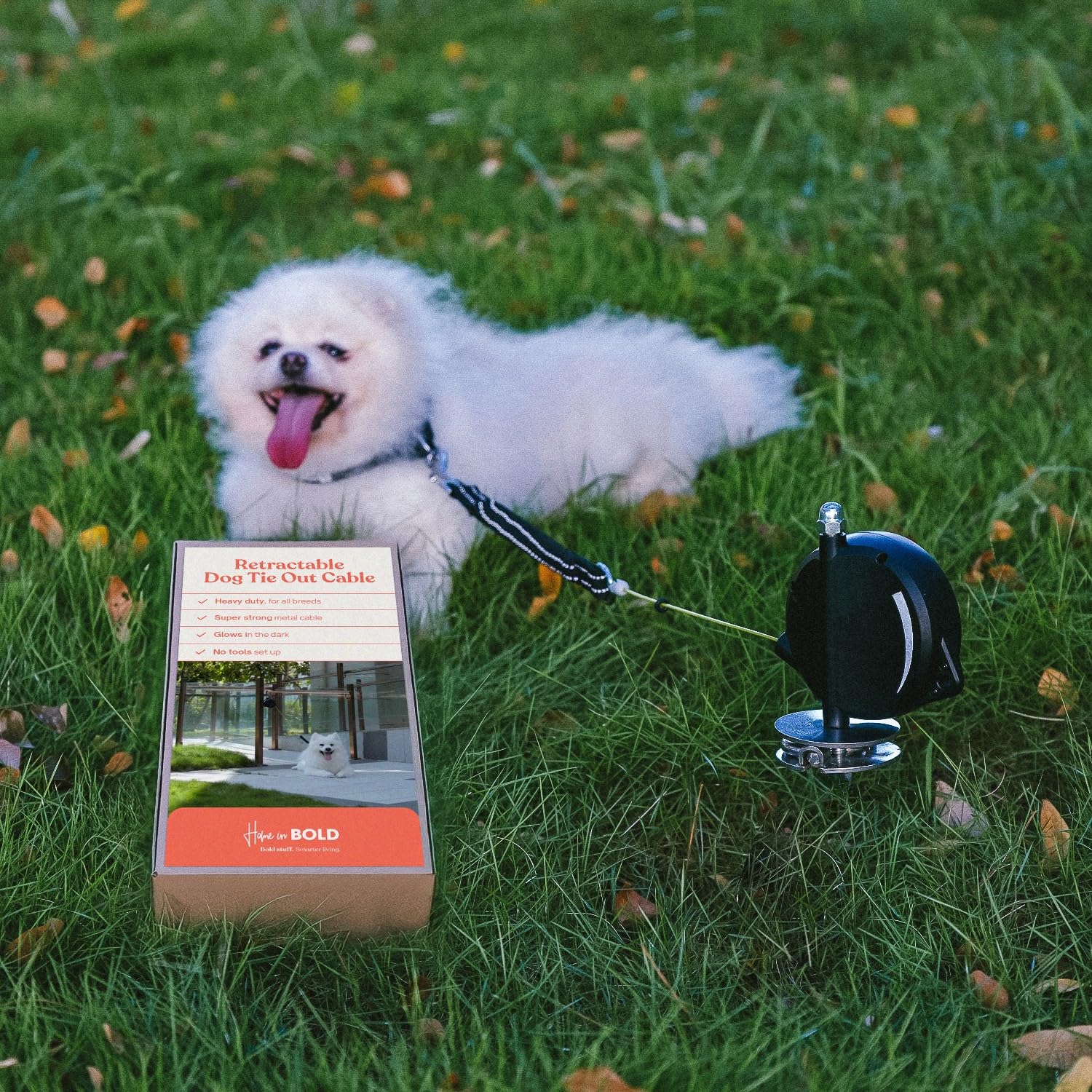 Retractable Dog Trolley