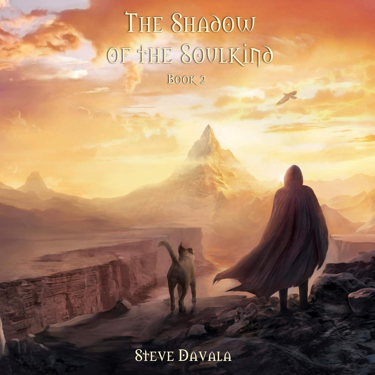 Amazon.com: The Shadow of the Soulkind: The Soulkind Series, Book 2 ...