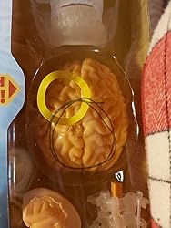 Amazon.com: SmartLab Toys The Amazing Squishy Brain : SmartLab Toys ...