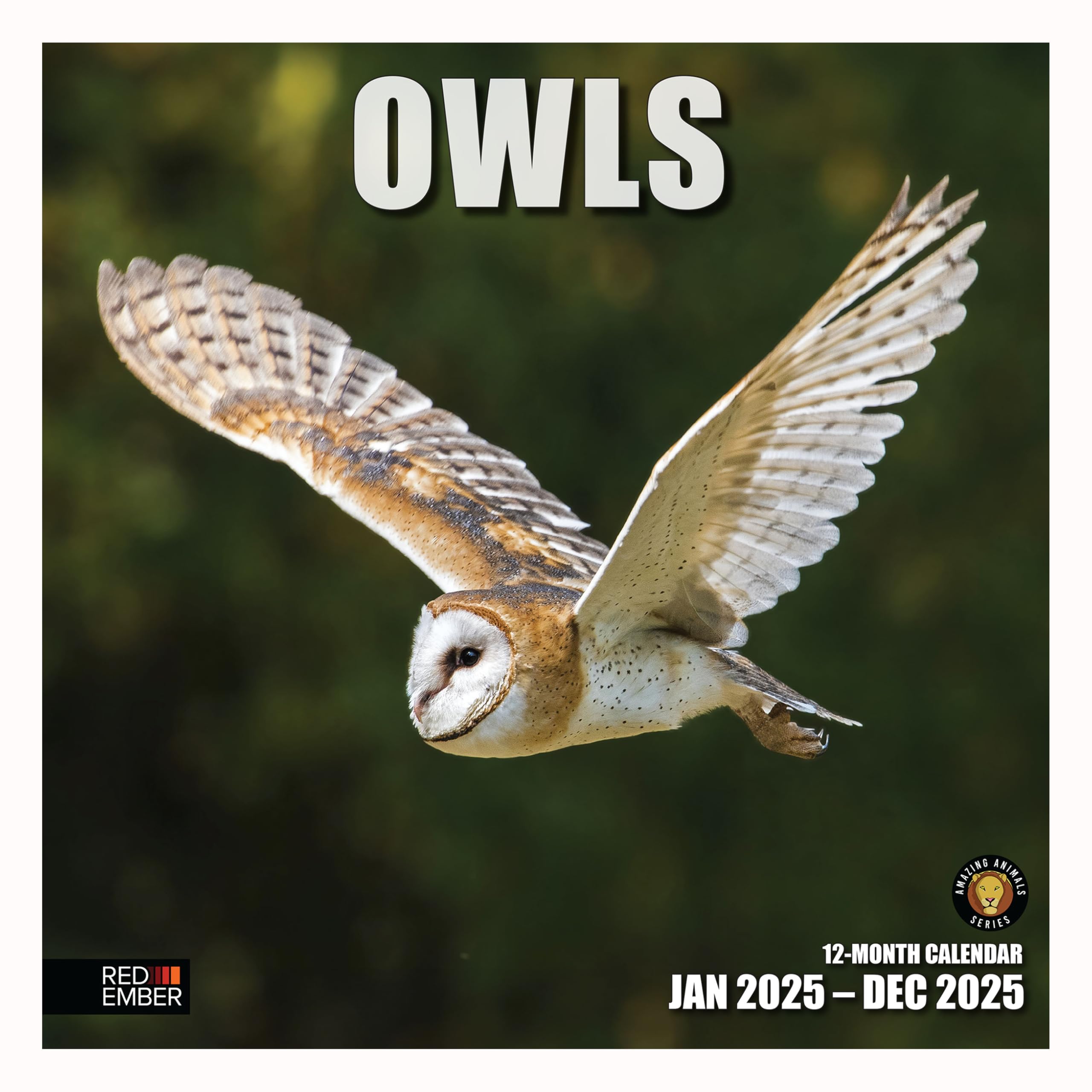 Amazon.com: RED EMBER Owls 2025 Wall Calendar 12 Month | 12" x 24" Open ...