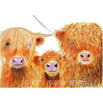 Shirley MacArthur HiGHLaND CoW PRINT BoX CaNVaS (WaLL ART, CoW PRiNT ...