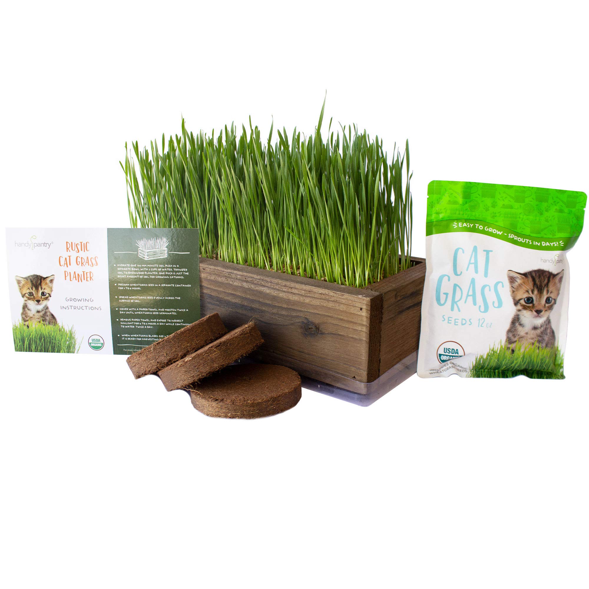 Organic Cat Grass Seeds Kit - Decorative Reclaimed Barnwood Style ...