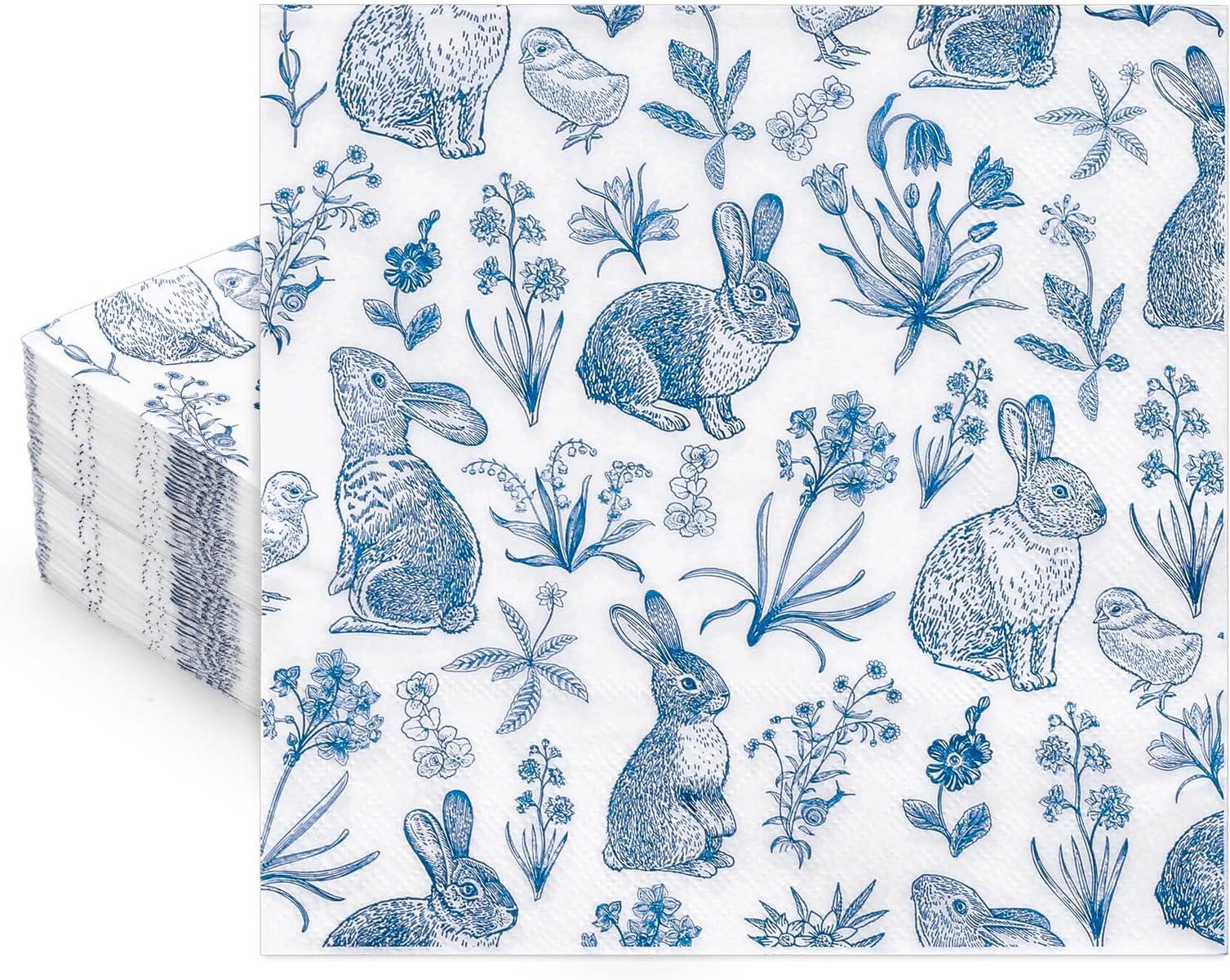 Amazon.com: Beatrix Potter Peter Rabbit Luncheon Paper Napkins with ...