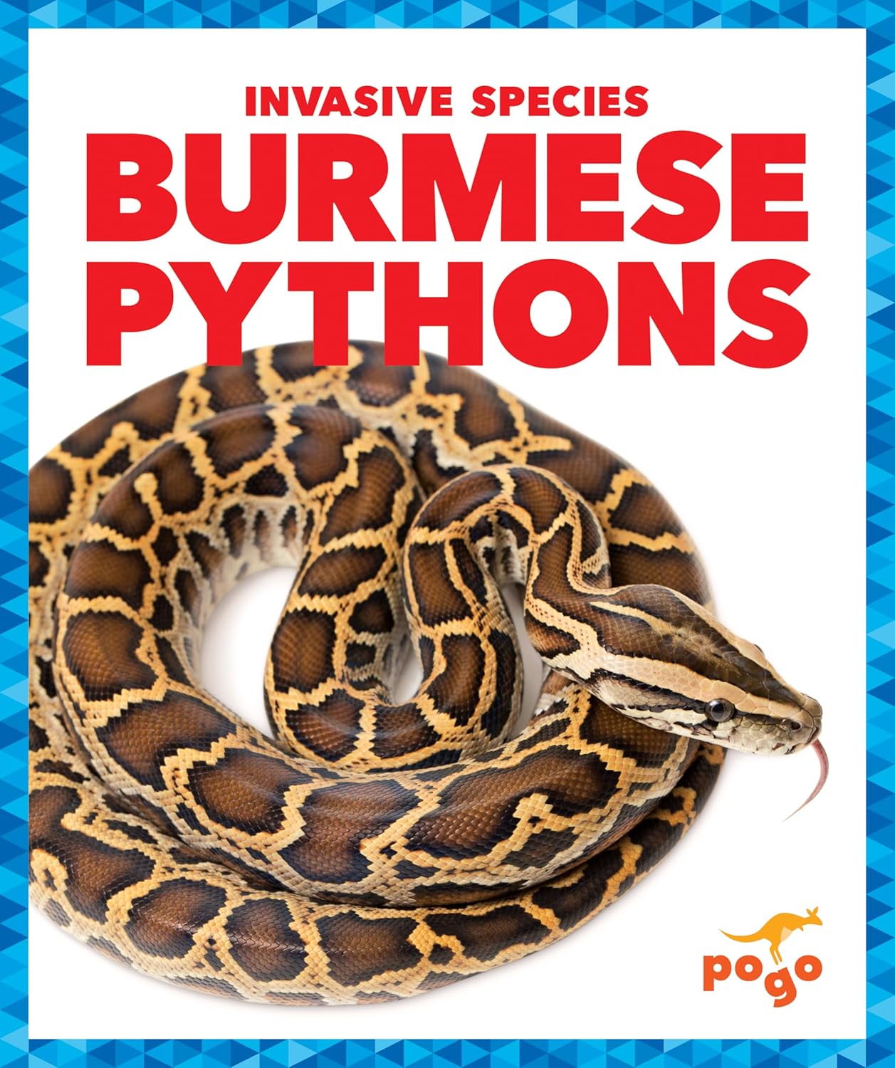 Burmese Pythons (Invasive Species): Klepeis, Alicia Z.: 9781636907871 ...