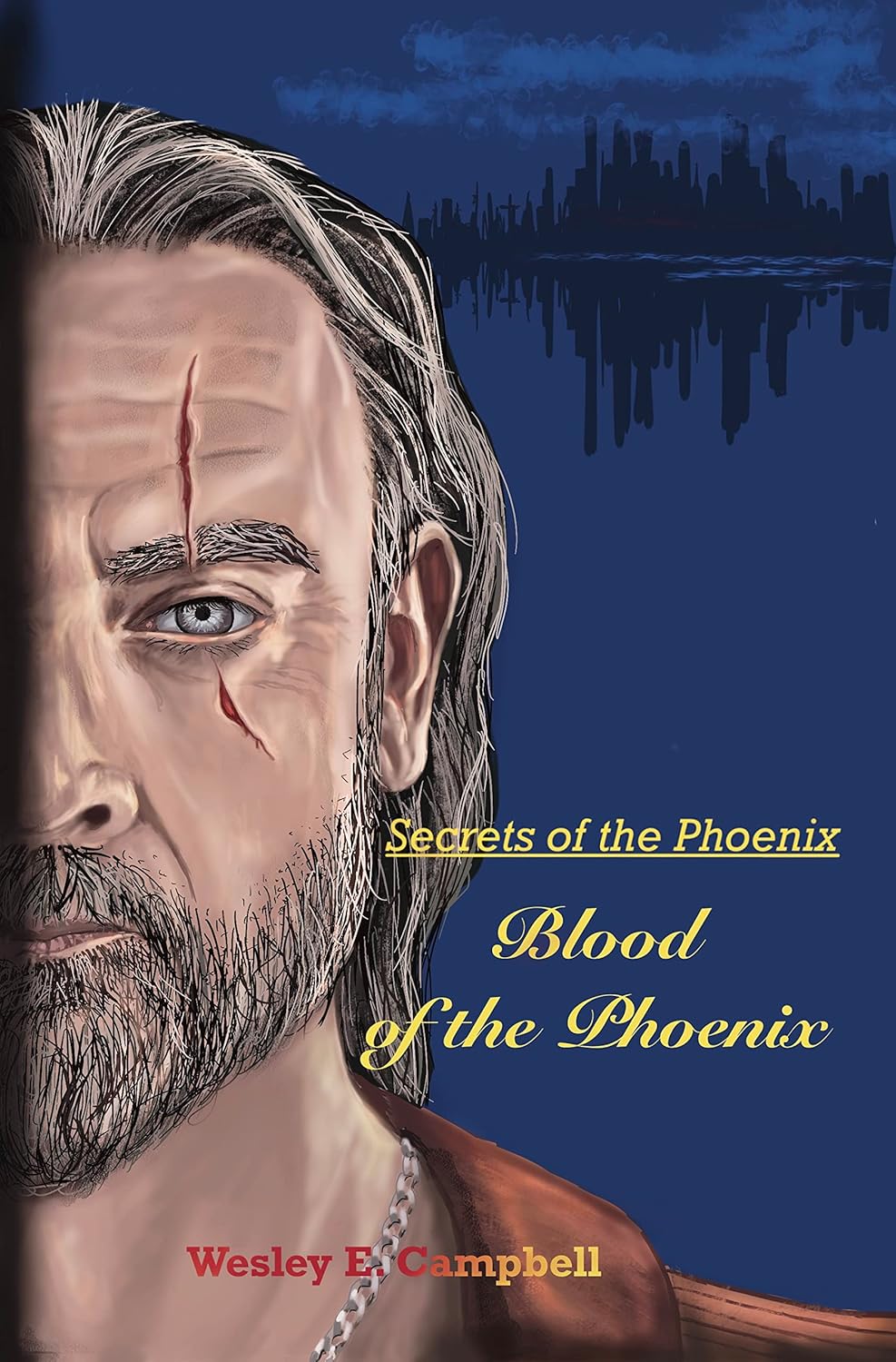 Amazon.com: Blood of the Phoenix (Secrets of the Phoenix Book 2) eBook ...