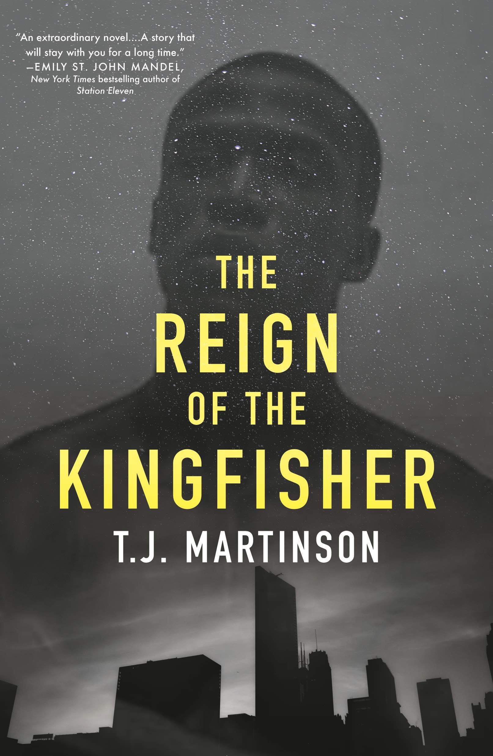Amazon.com: The Reign of the Kingfisher: 9781250170231: Martinson, T J ...