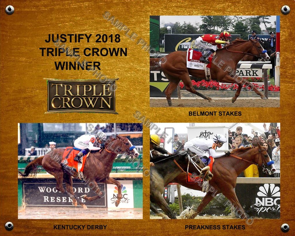 Amazon.com: SPORTSPHOTOSUSA Secretariat 1973 Triple Crown Champion ...