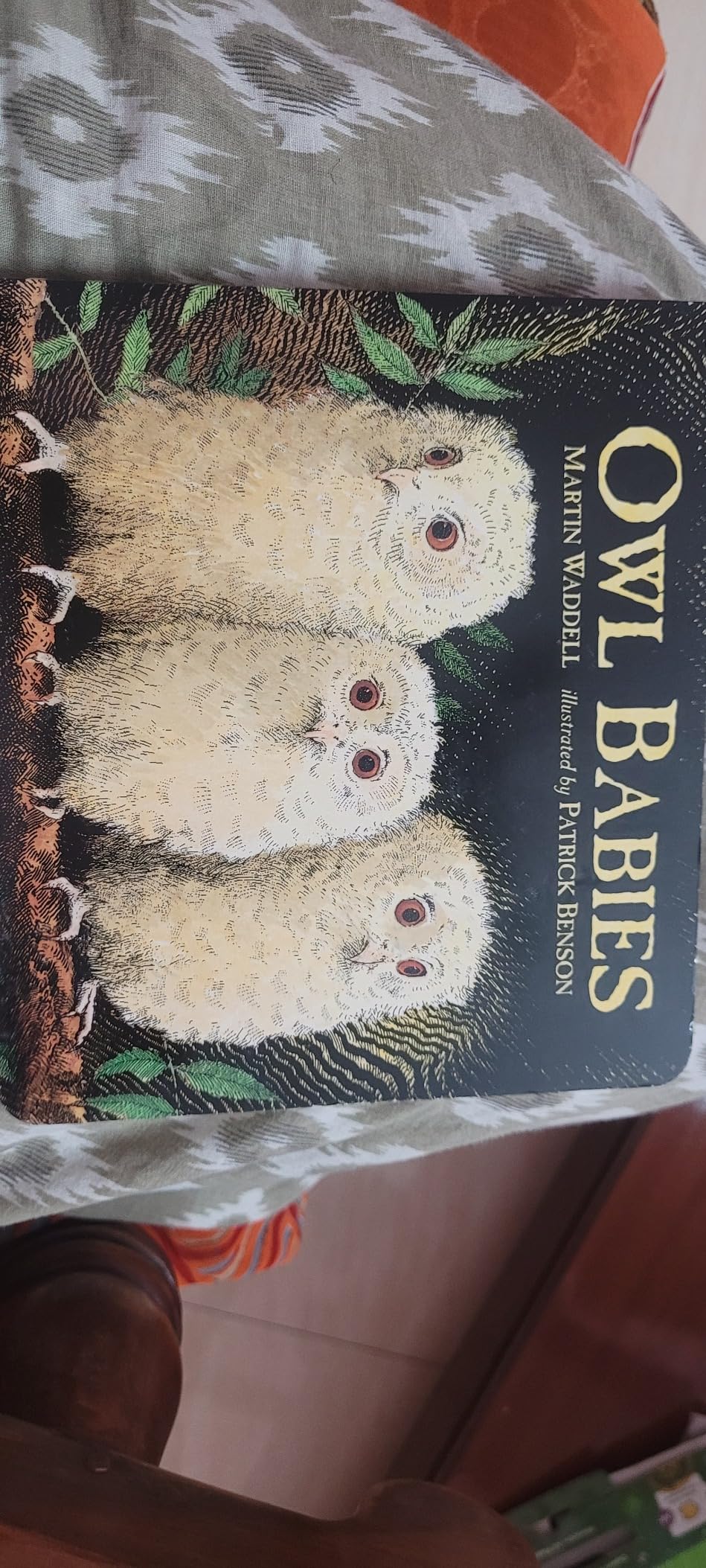 Owl Babies: 25th Anniversary edition : Waddell, Martin, Benson, Patrick ...