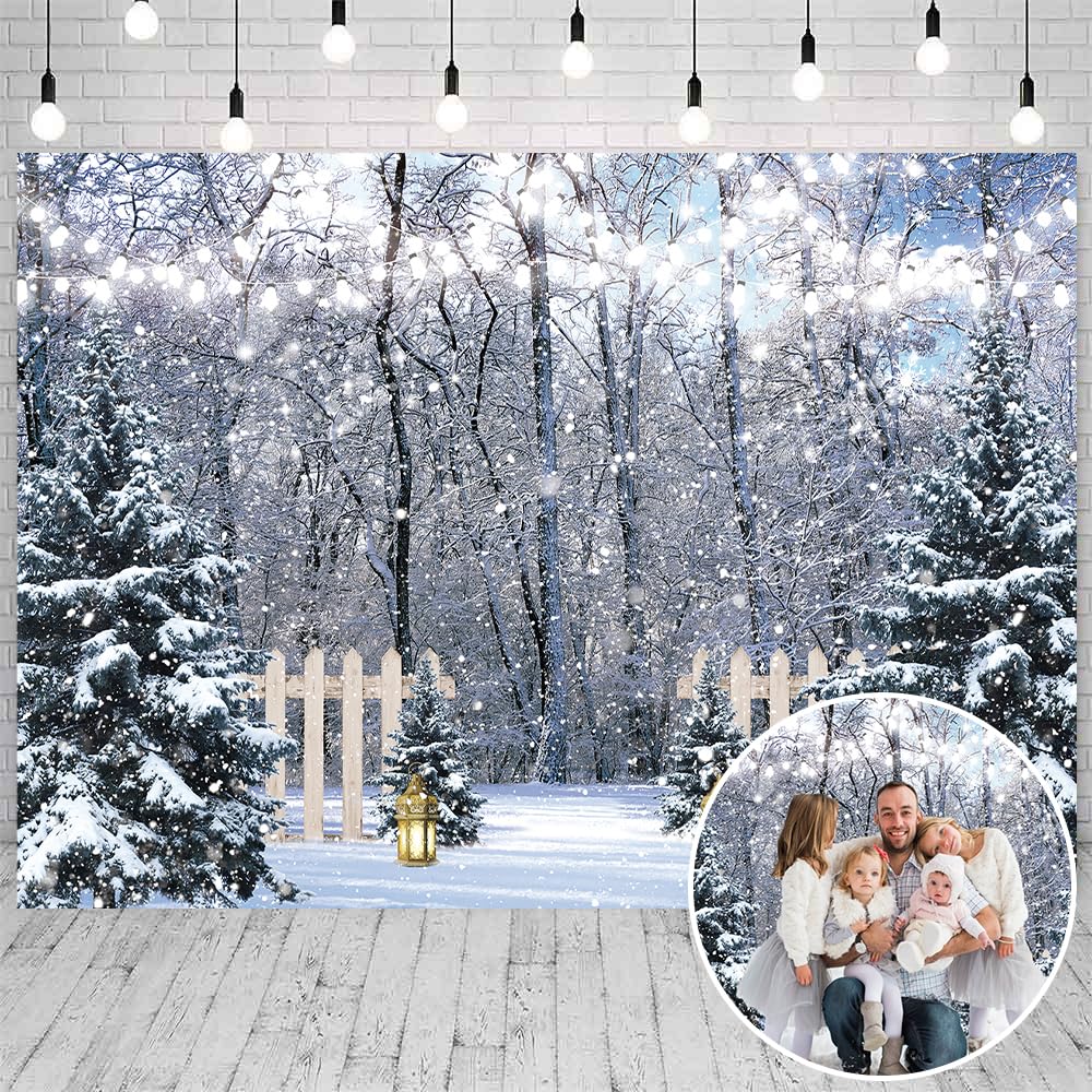 Winter Wonderland Backdrop Banner Winter Wonderland Landscape