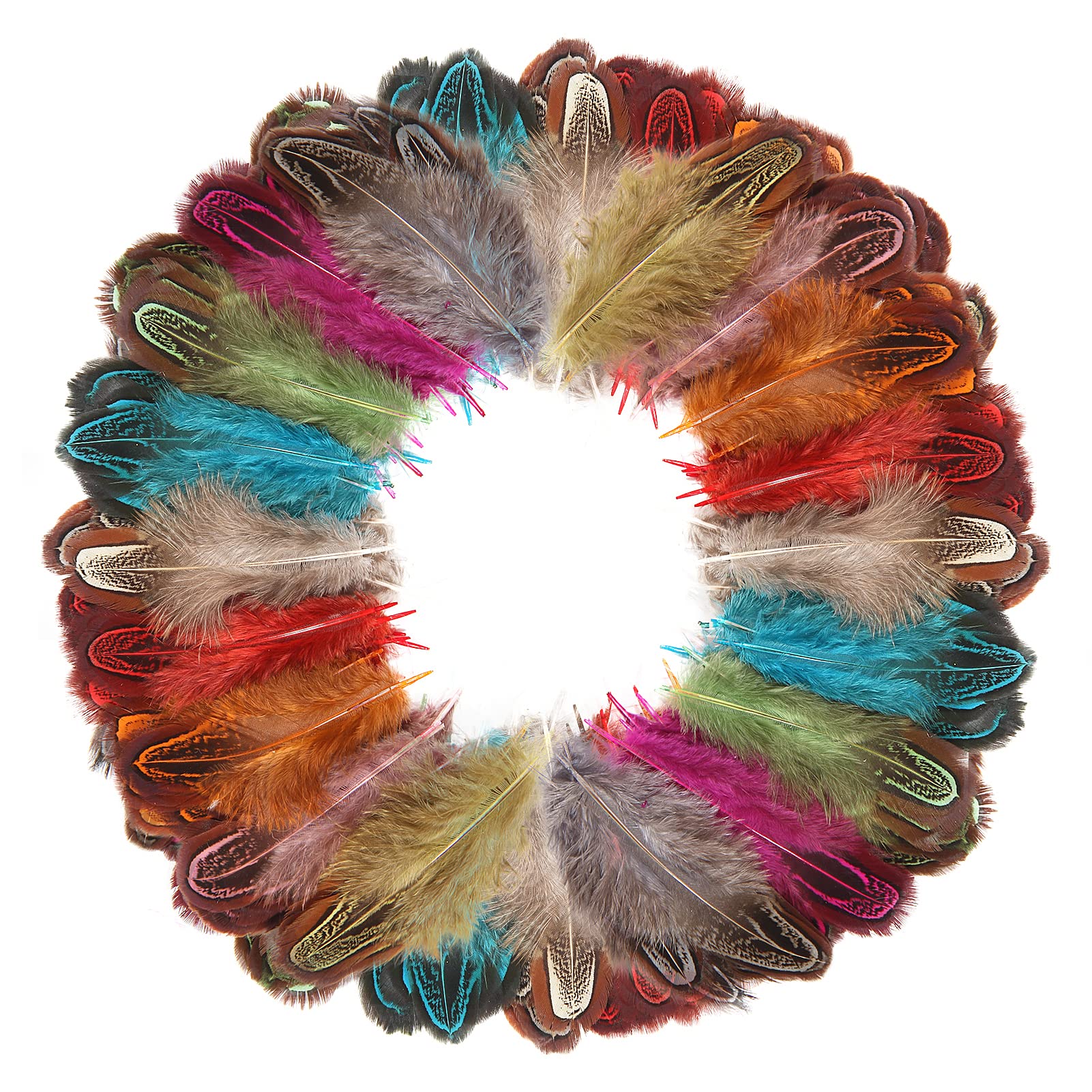 Amazon.com: FeelfunFeather 60pcs Mix Colour Pheasant Plumage Feathers 2 ...
