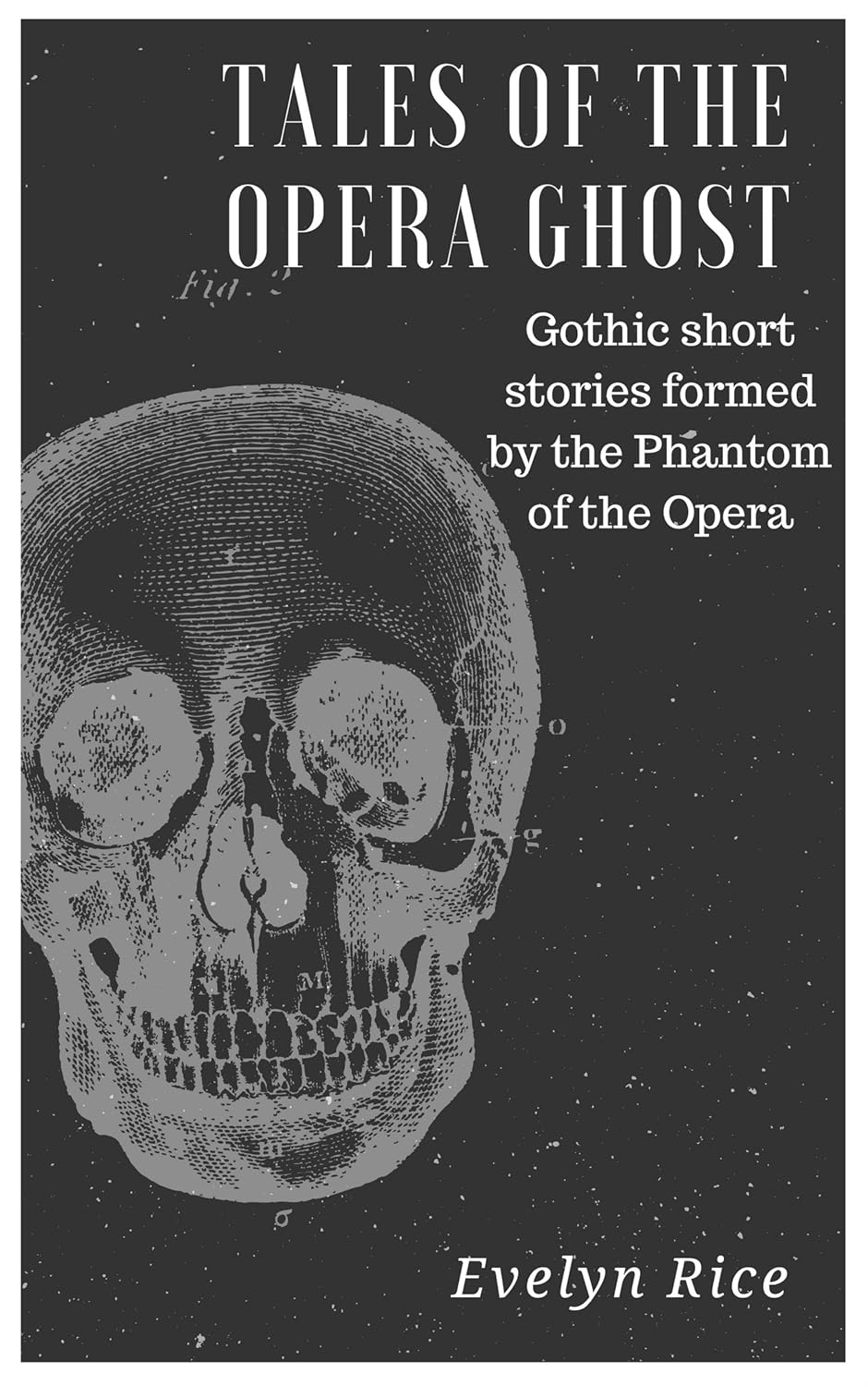 Amazon | Tales of the Opera Ghost: Gothic Short Stories Formed by the ...