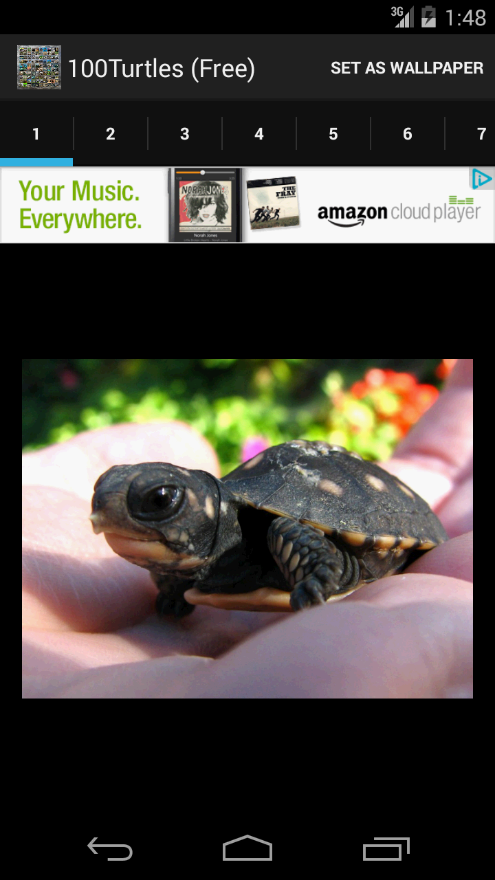 Turtle Wallpaper App (Free) - App on Amazon Appstore