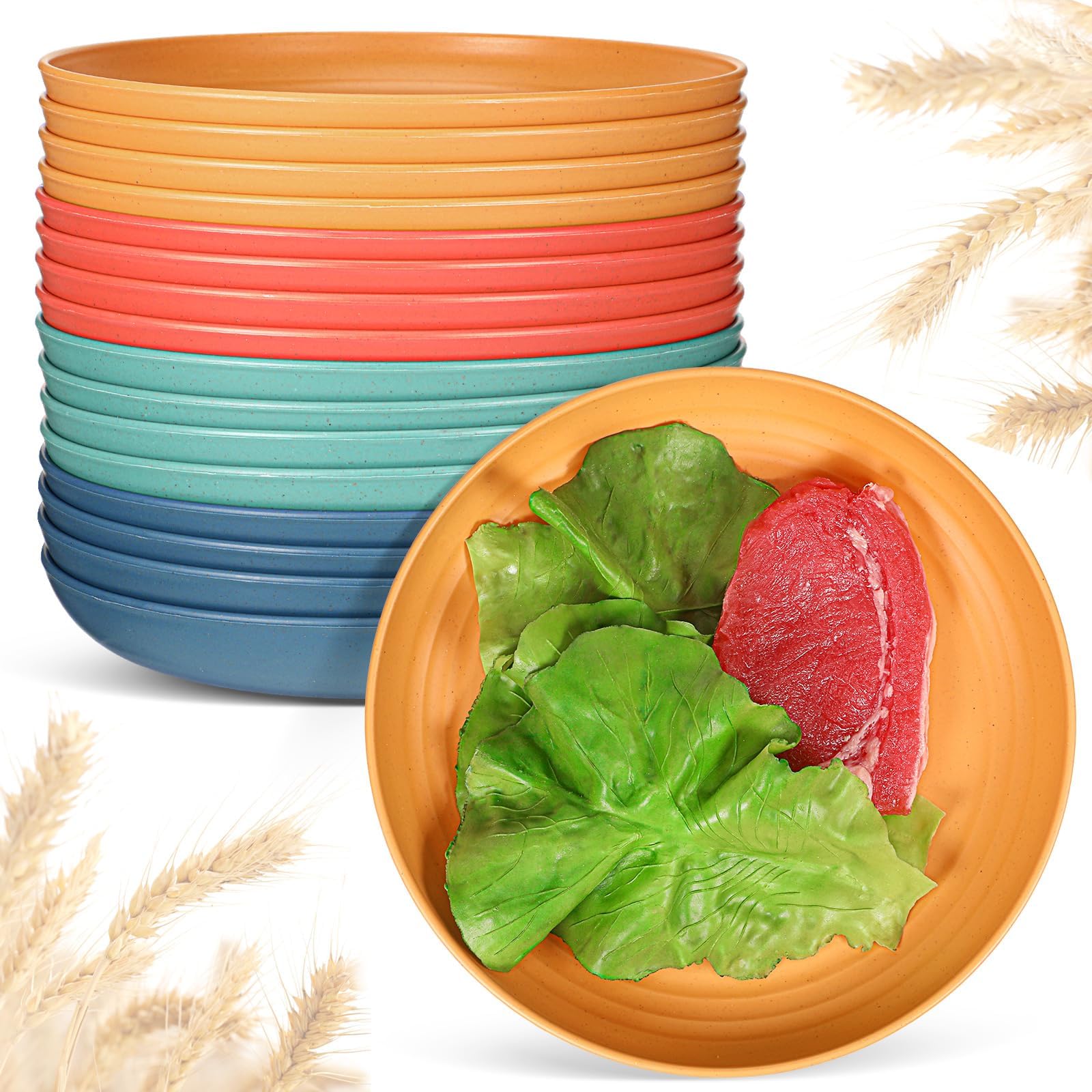 Amazon.com | 16 Pcs plastic plates plastic reusable plates dishwasher ...