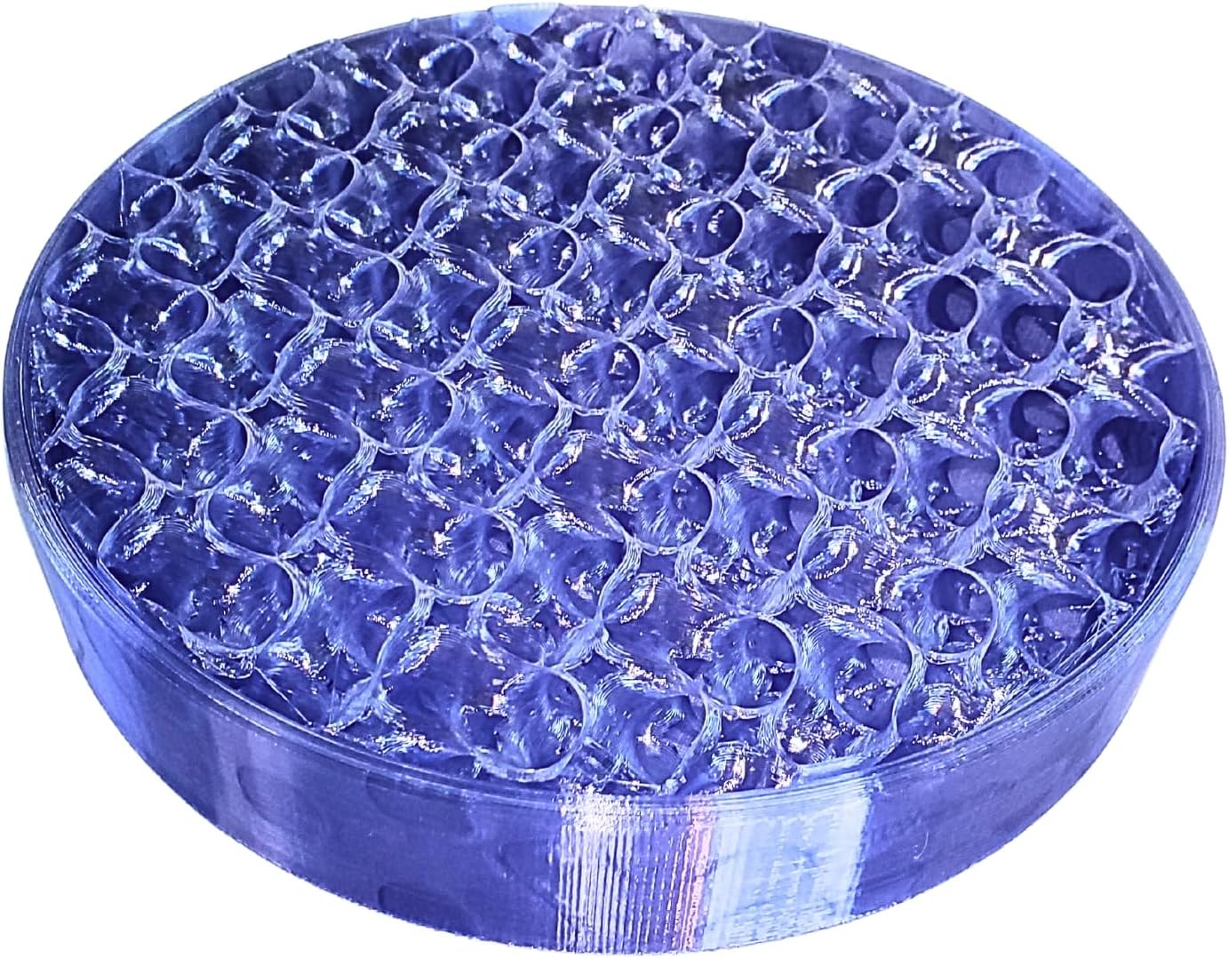 Amazon.com : Bee Watering and Feeding Station - 1 Quart Capacity. Low Maintenance. Trains Bees ...