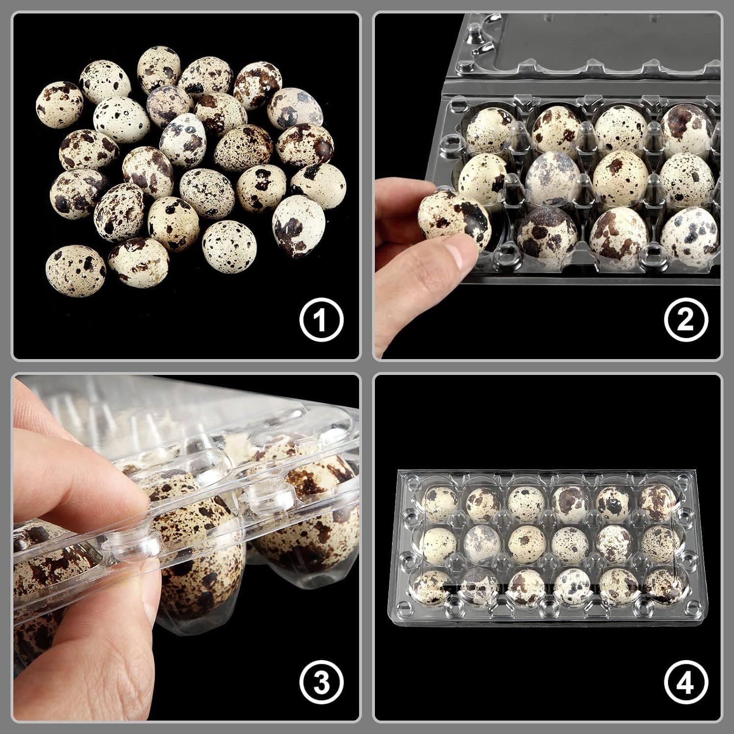 Snapklik.com : 100 Pcs Quail Egg Cartons, 18 Grids Plastic Egg Storage ...