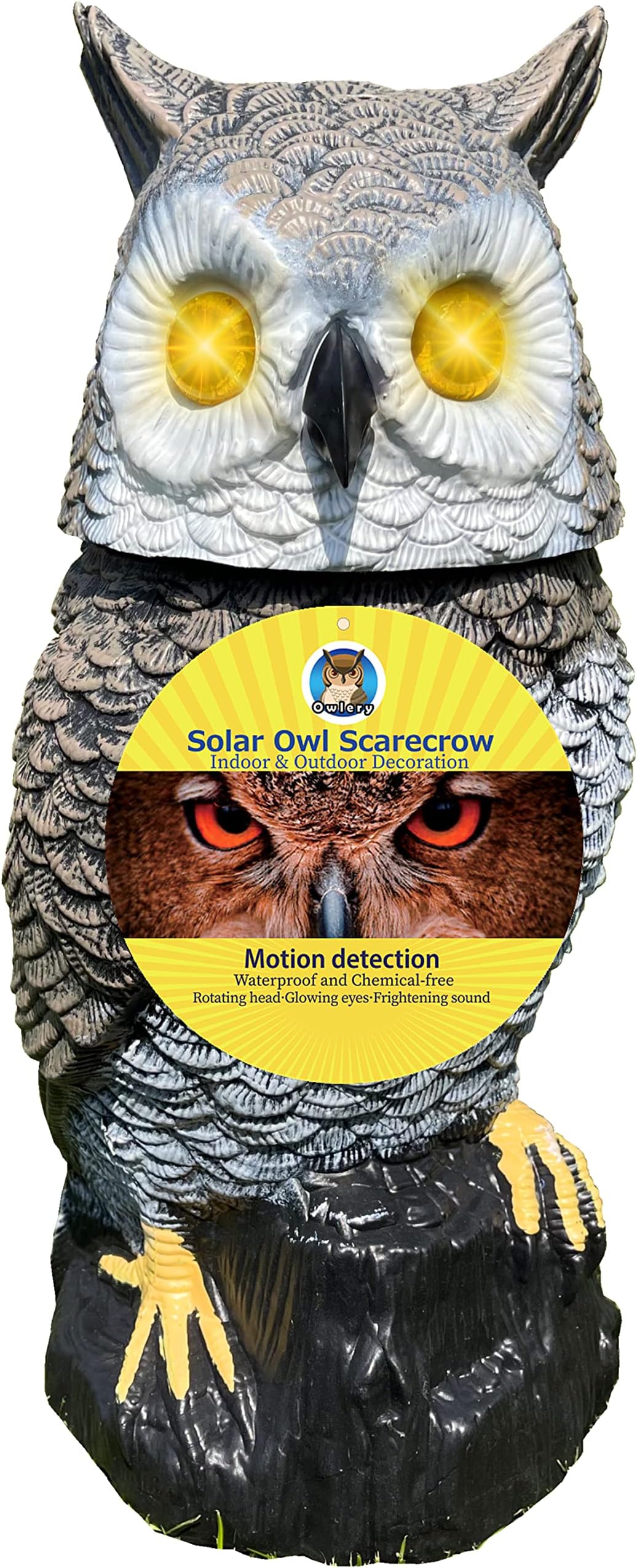 Amazon.com: Owlery Solar Owl with Flashing Eyes, Rotating Head and ...
