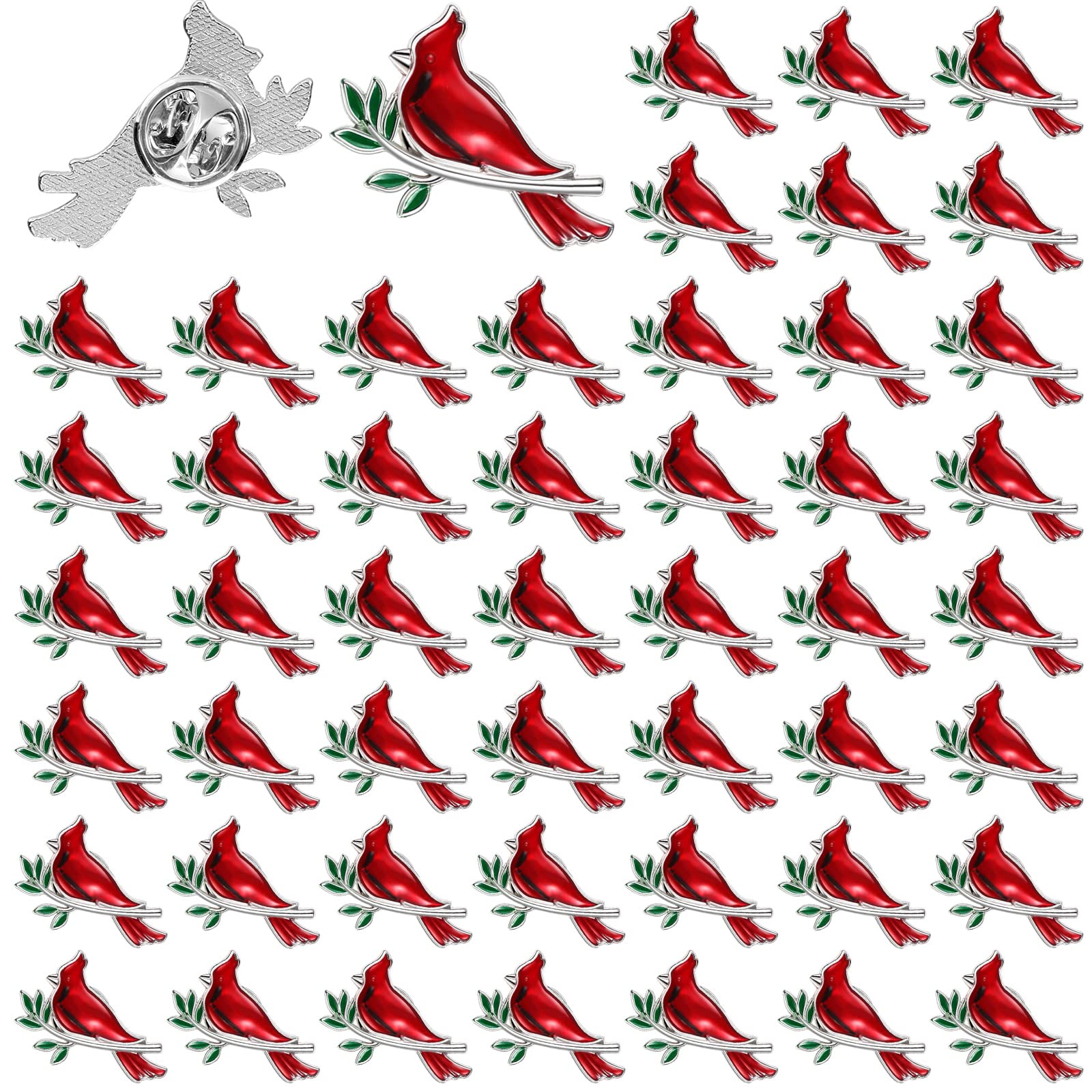 Amazon.com: Jexine 100 Pcs Memorial Cardinal Sign Pins Set Funeral ...