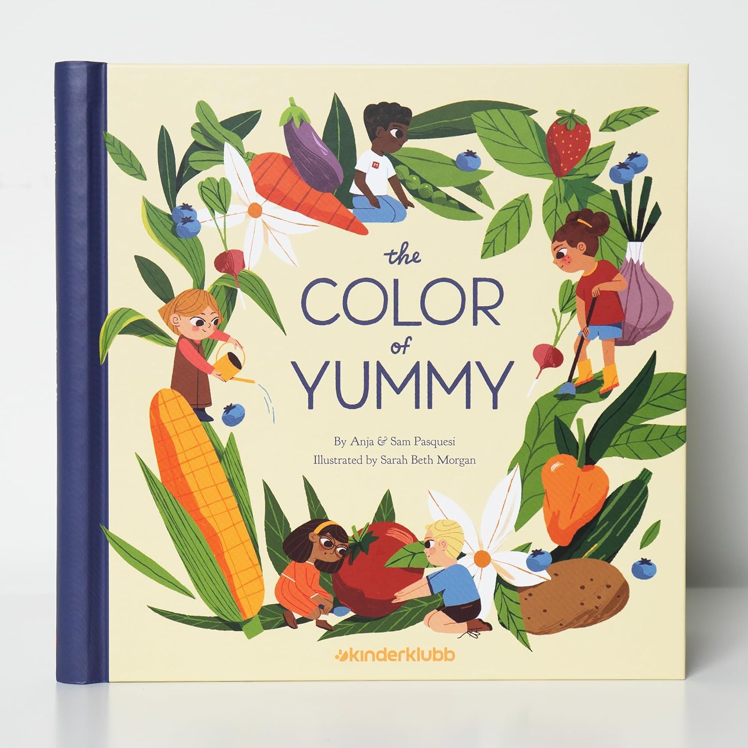 The Color of Yummy: A Lift-the-Flap Hardcover Book: Anja Pasquesi, Sam Pasquesi: 9798218345556 ...