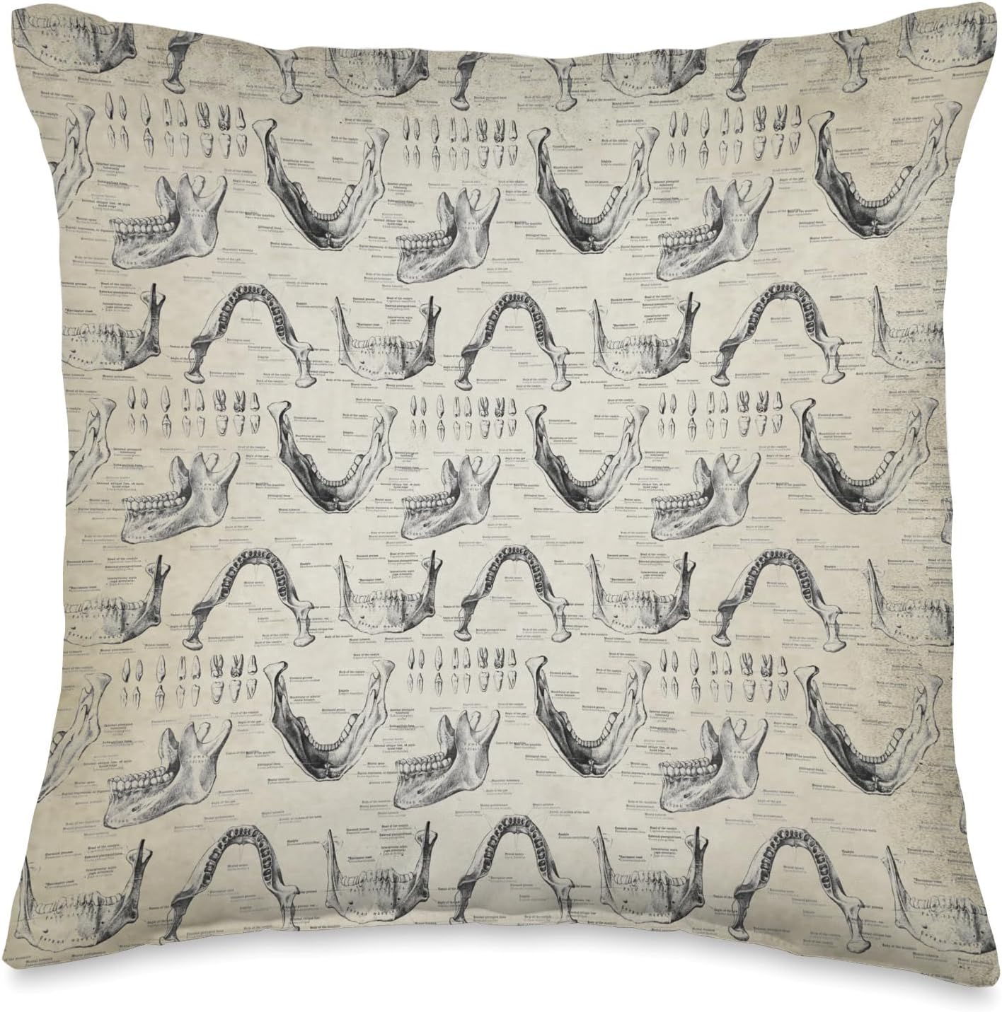 Amazon.com: Teeth Anatomy Old Textbook Diagrams Throw Pillow : Home ...