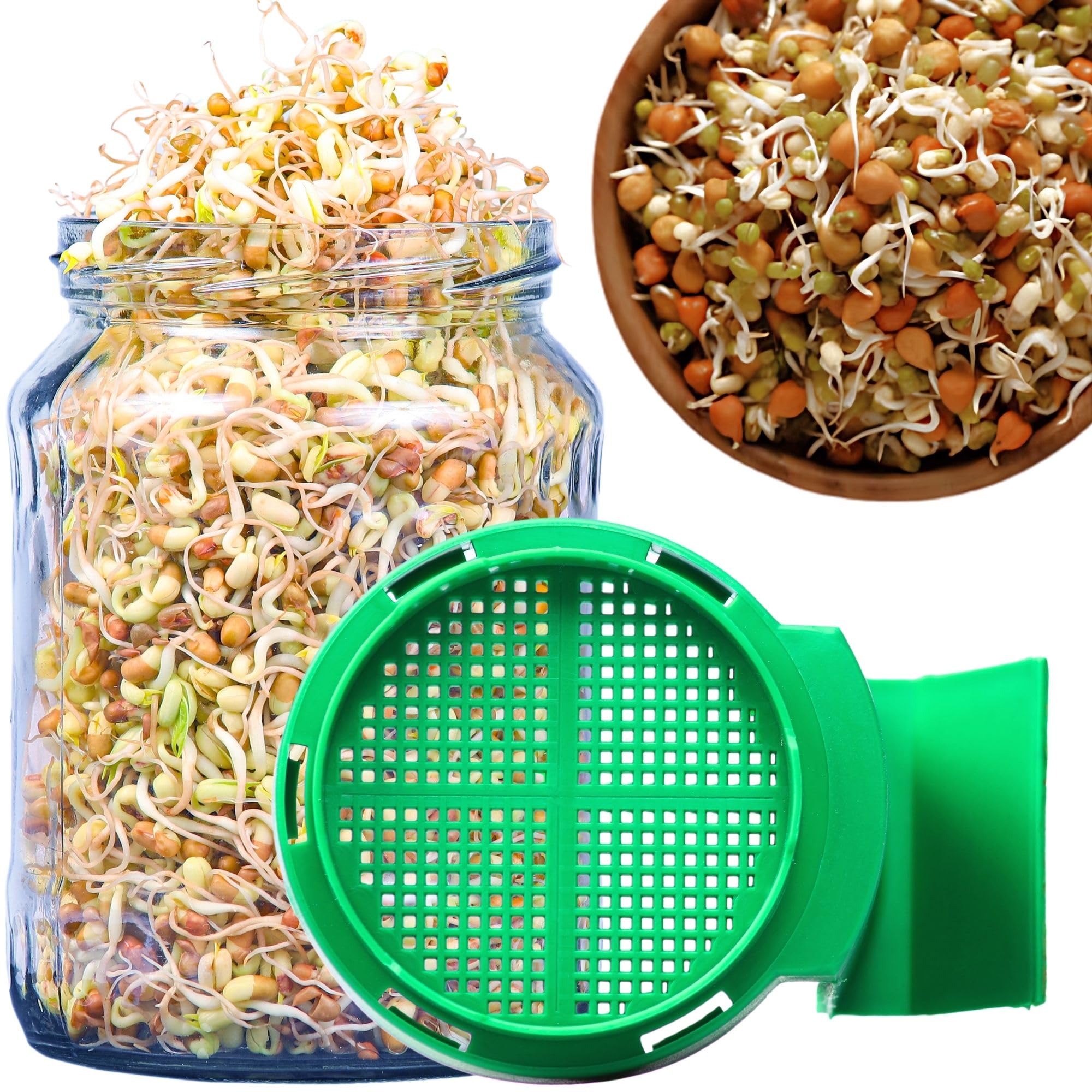 Buy Sprout Smart Sprouts Maker Glass Jar for All Seeds & Beans ...
