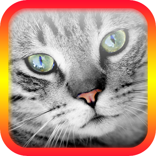 Translator for Cats - Cat Translator - App on Amazon Appstore