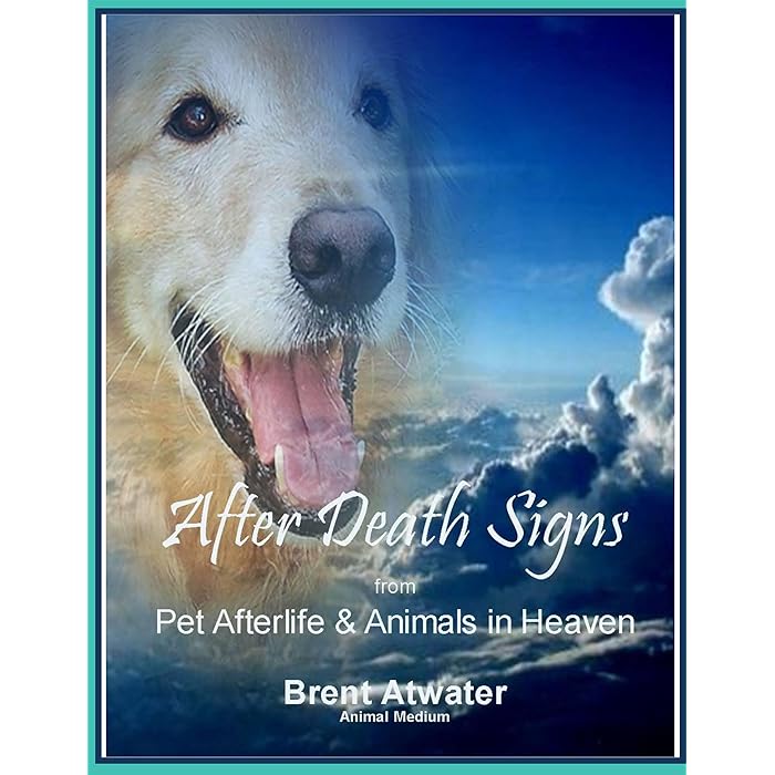 Buy After Death Signs from Pet Afterlife and Animals in Heaven: How to ...