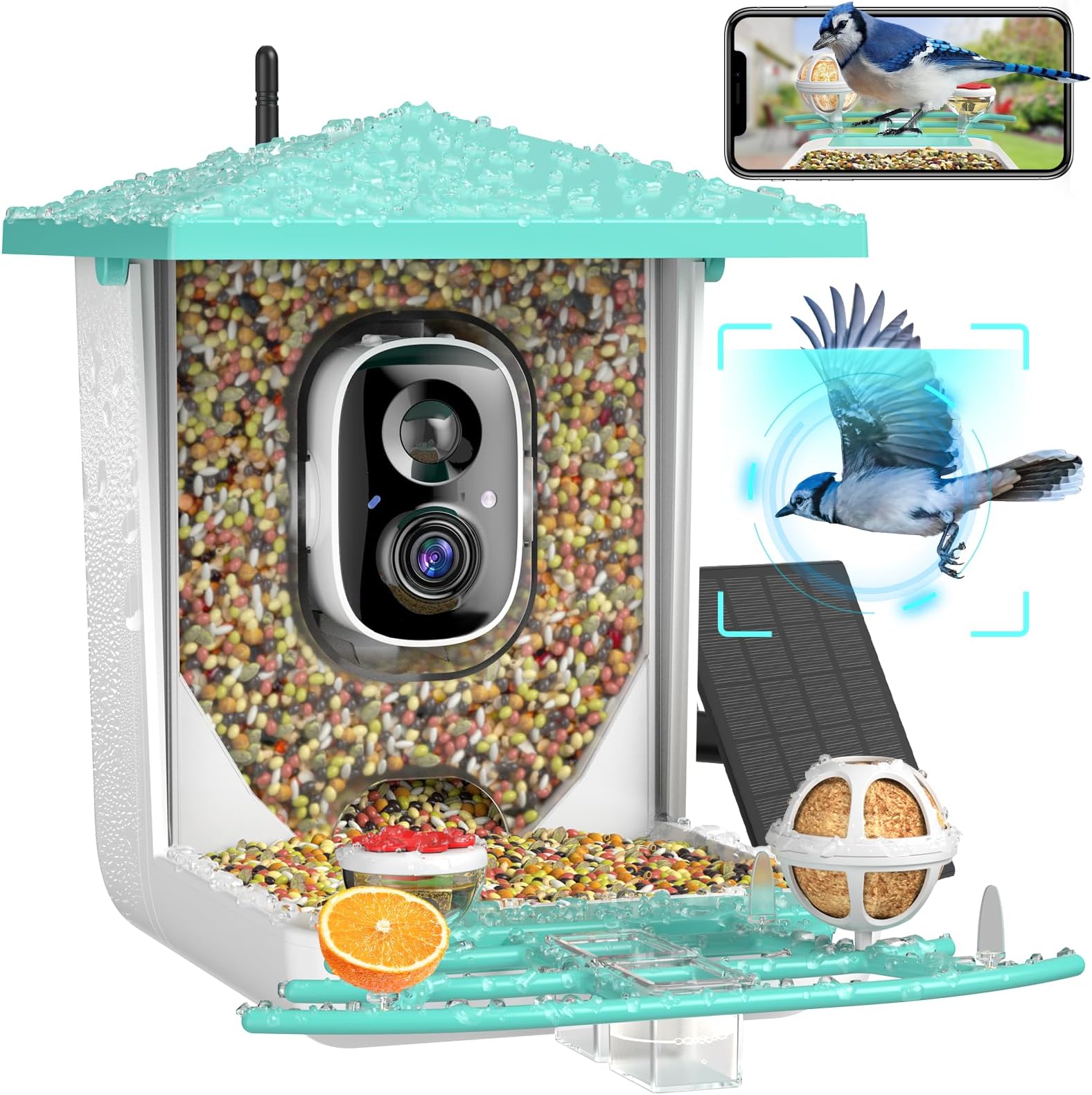 Amazon.com: NETVUE Birdfy® Smart Bird Feeder with Camera, Bird Watching Camera, Auto Capture ...