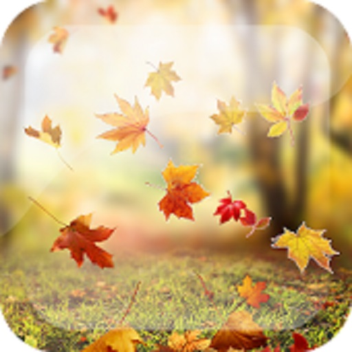 Fallen Leaves HD Wallpapers - Aplicativo na Amazon Appstore