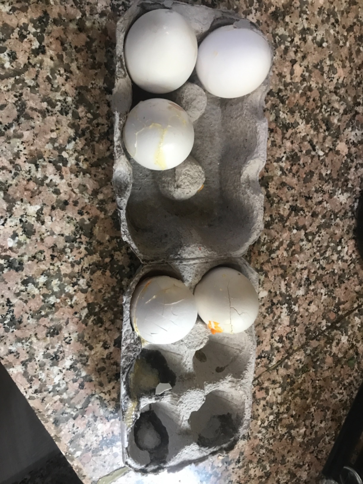UPF Healthy Daily Eggs, 6 Pieces| Veg Fed| Non-Fertile Eggs : Amazon.in ...