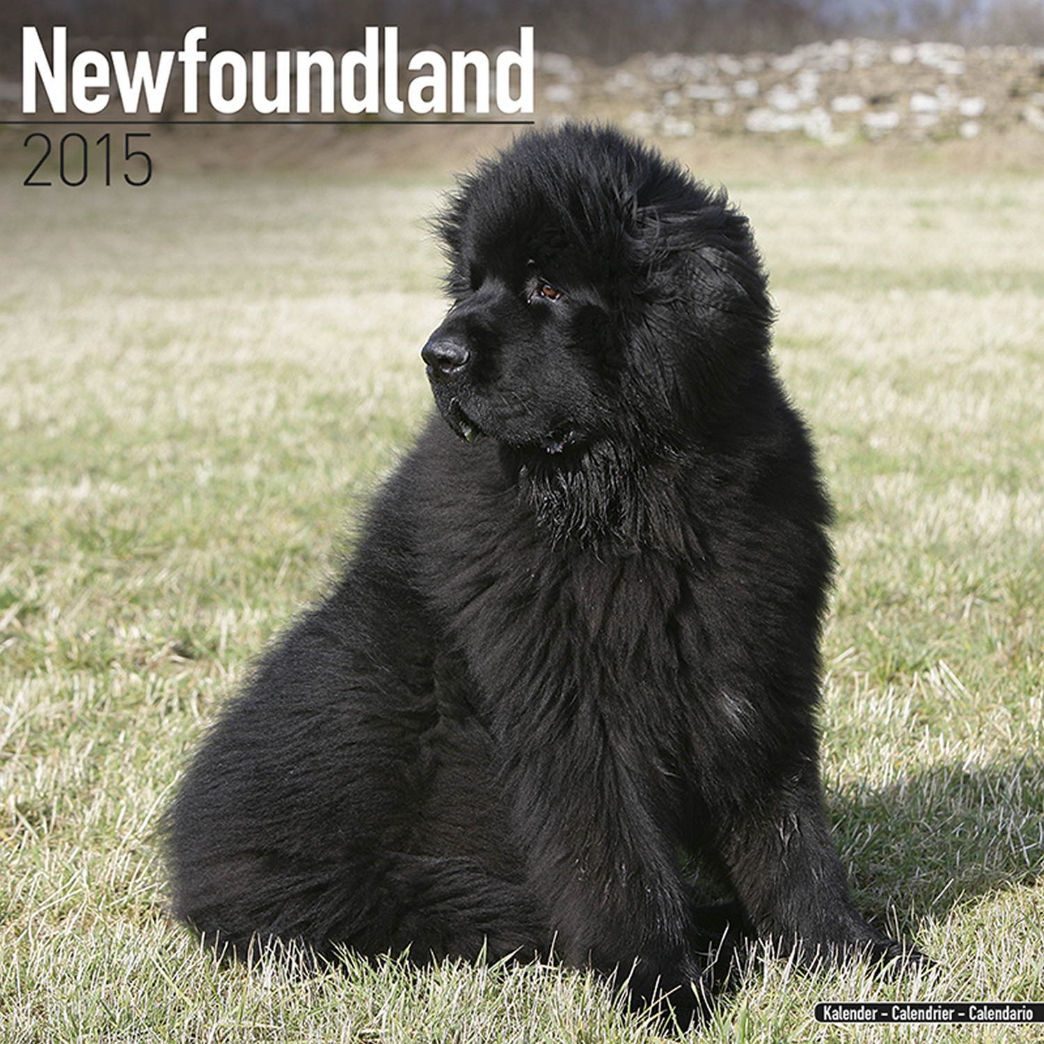Newfoundland Calendar - Just Newfoundland Calendar - 2015 Wall ...