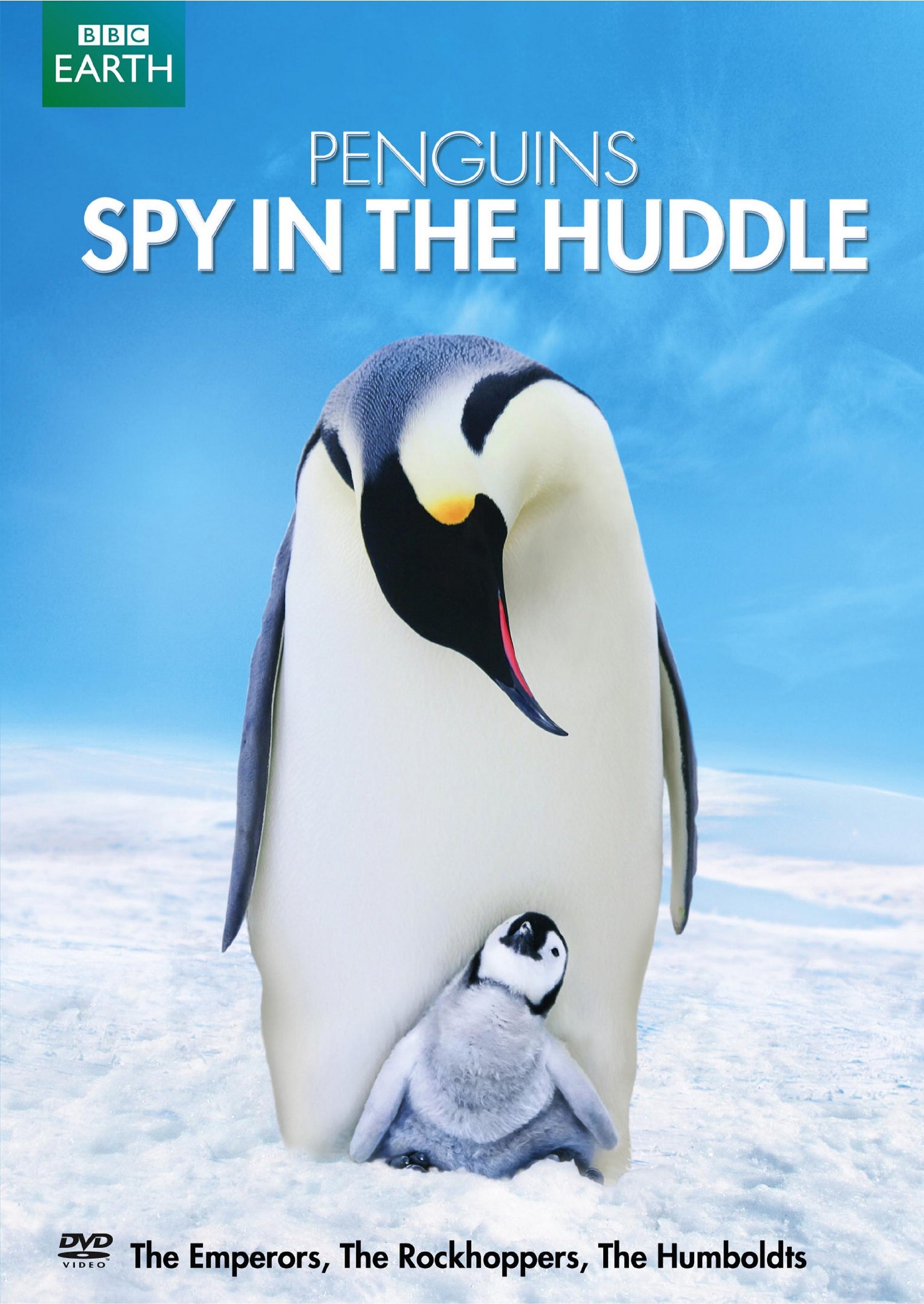 Amazon.com: Penguins: Spy in the Huddle : Various, Various: Movies & TV