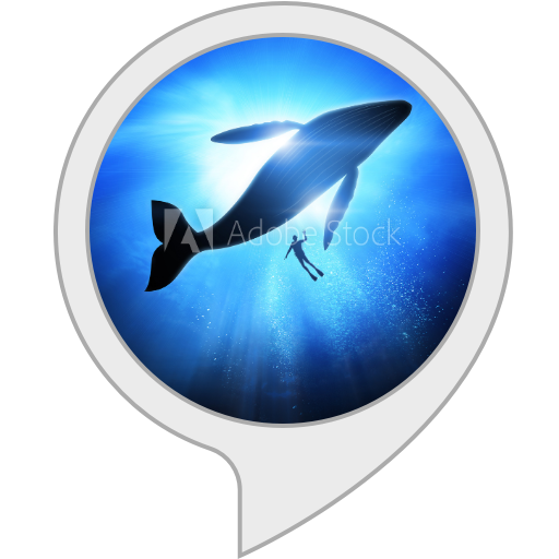 Amazon.com: Whale Symphony : Alexa Skills