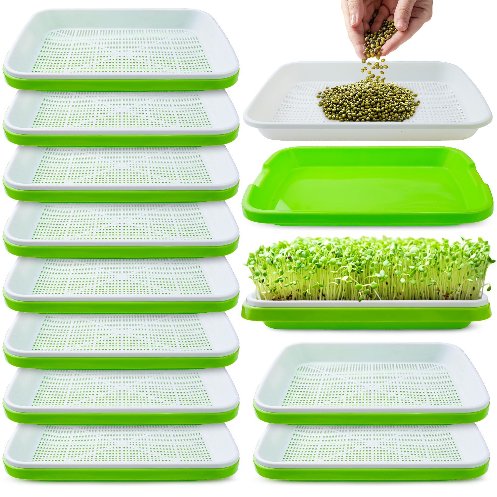 Amazon.com : Pack 10 of Seed Sprouter Tray with Drain Holes,Seed ...
