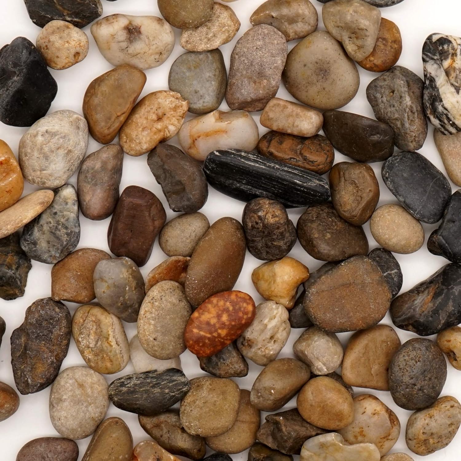 Amazon.com : River Rock Mixed Color Natural Unpolished (4 lbs ...
