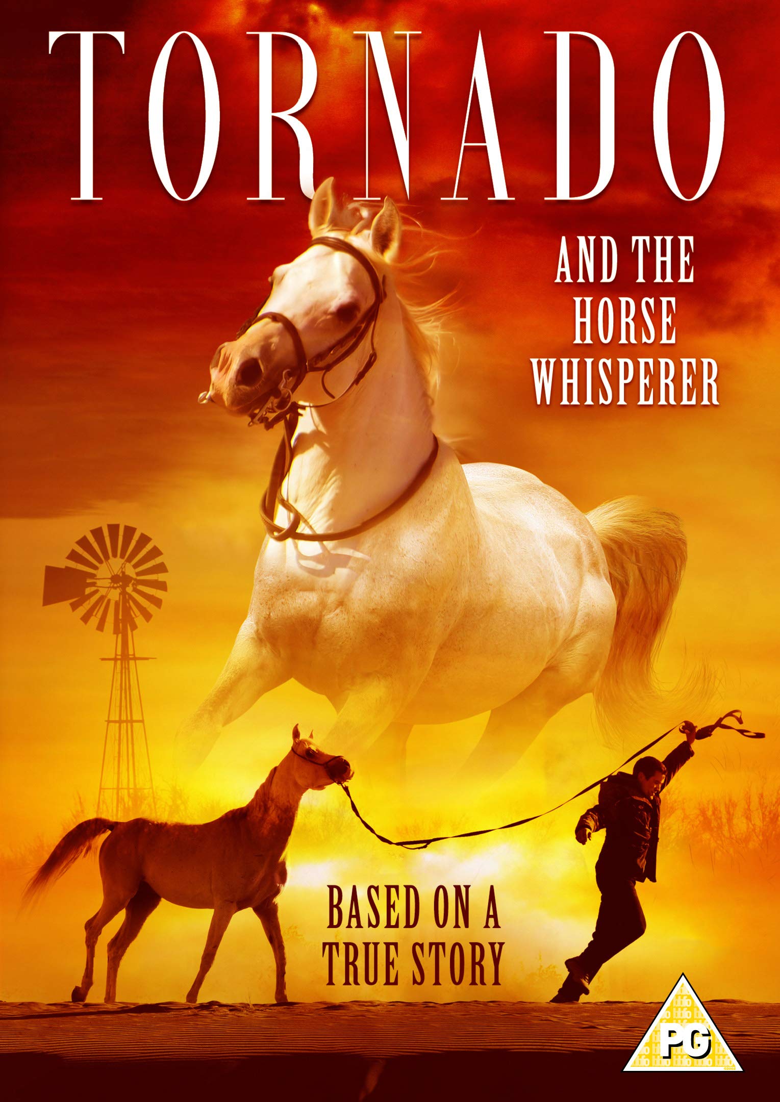 Amazon.com: Tornado & The Horse Whisperer [DVD] : Danny Keogh, Quentin ...