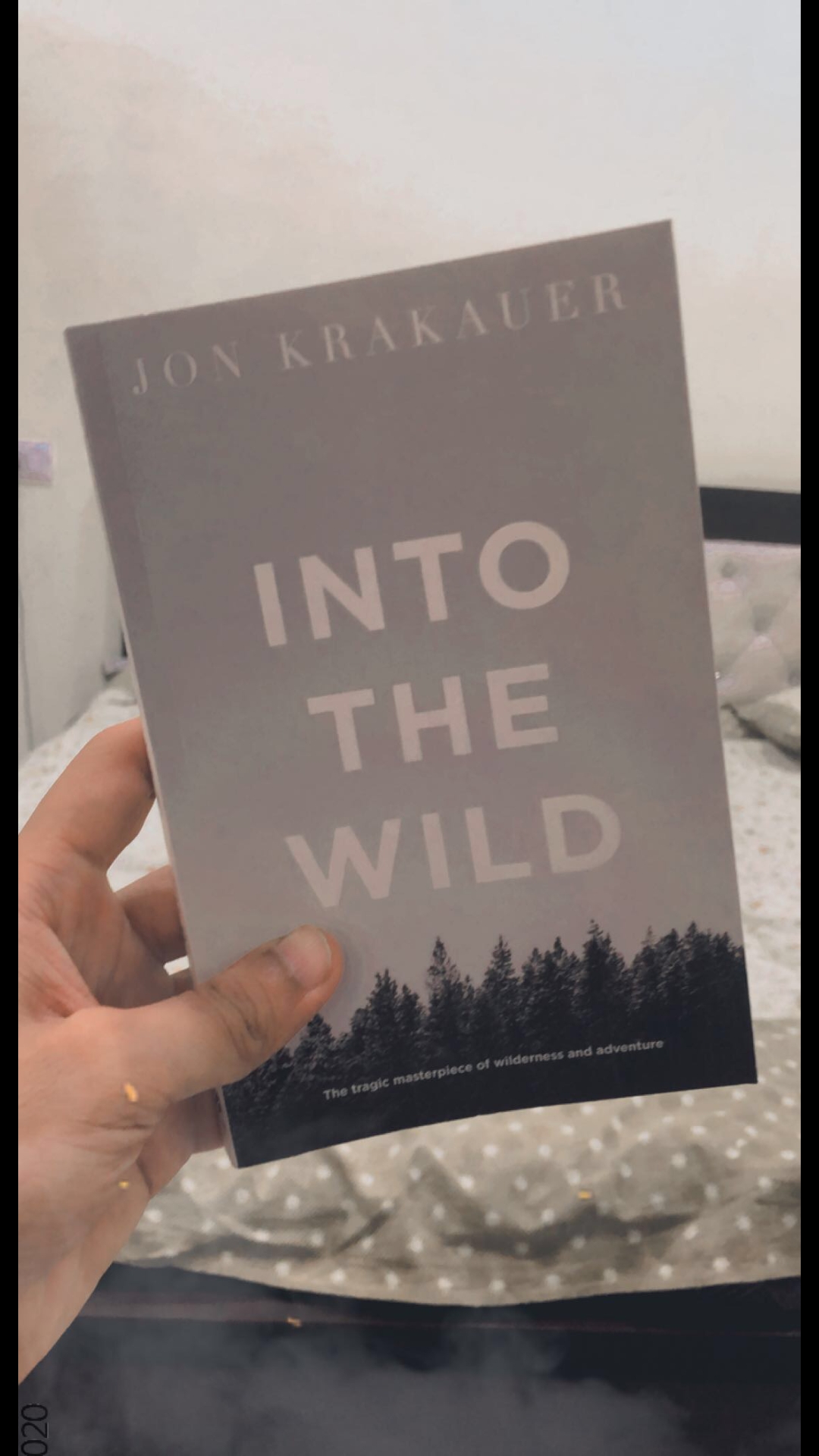 Buy Into the Wild Book Online at Low Prices in India | Into the Wild ...