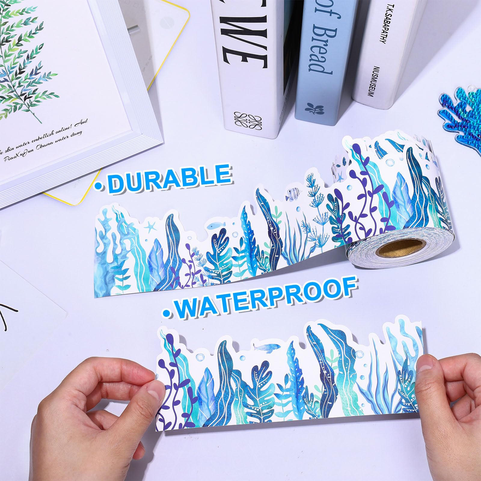 Ocean Bulletin Board Border Zonon 65 Feet Seas The Day Coral Reef ...