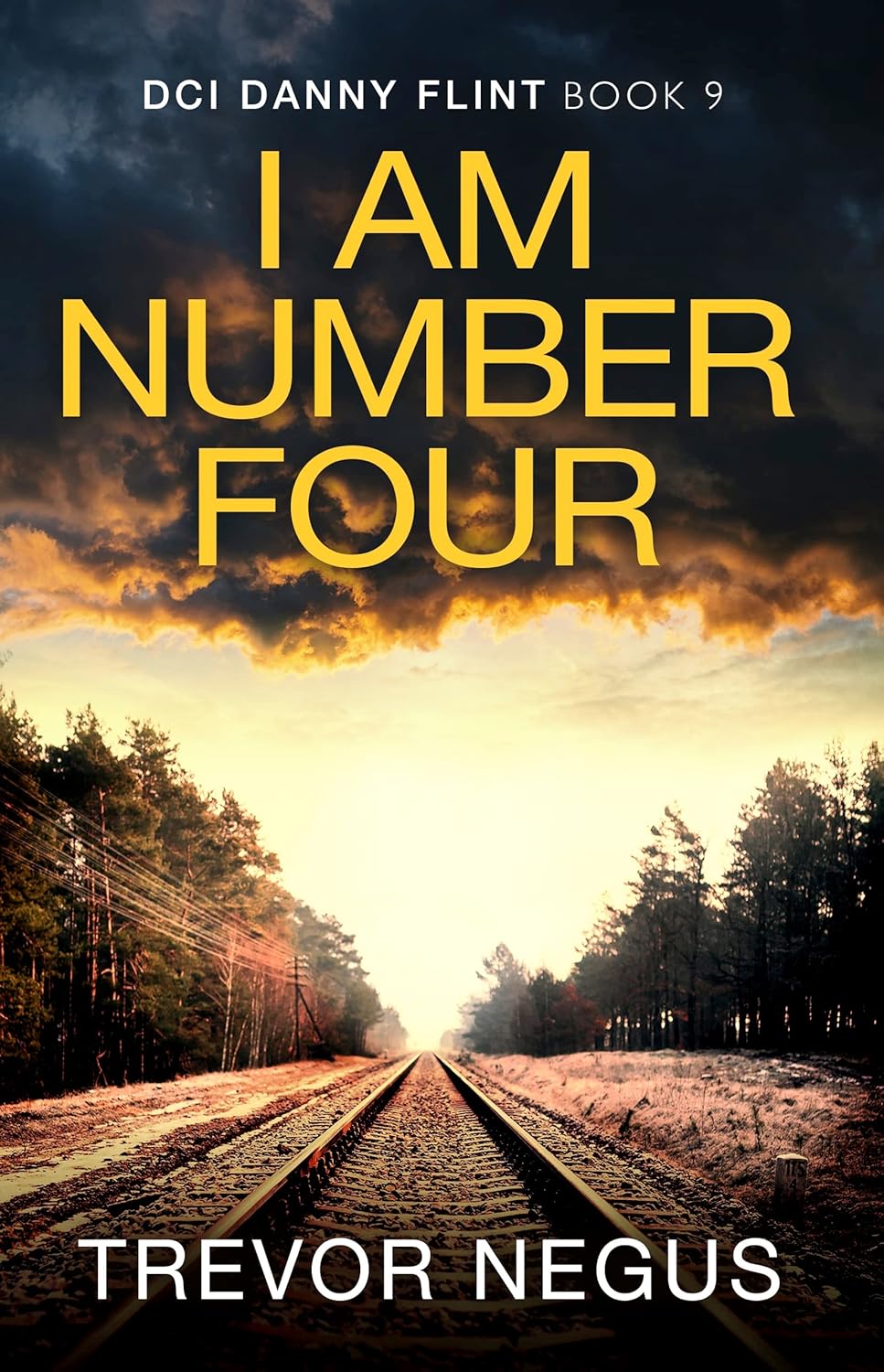 I Am Number Four (DCI Danny Flint Book 9) - Kindle edition by Negus ...