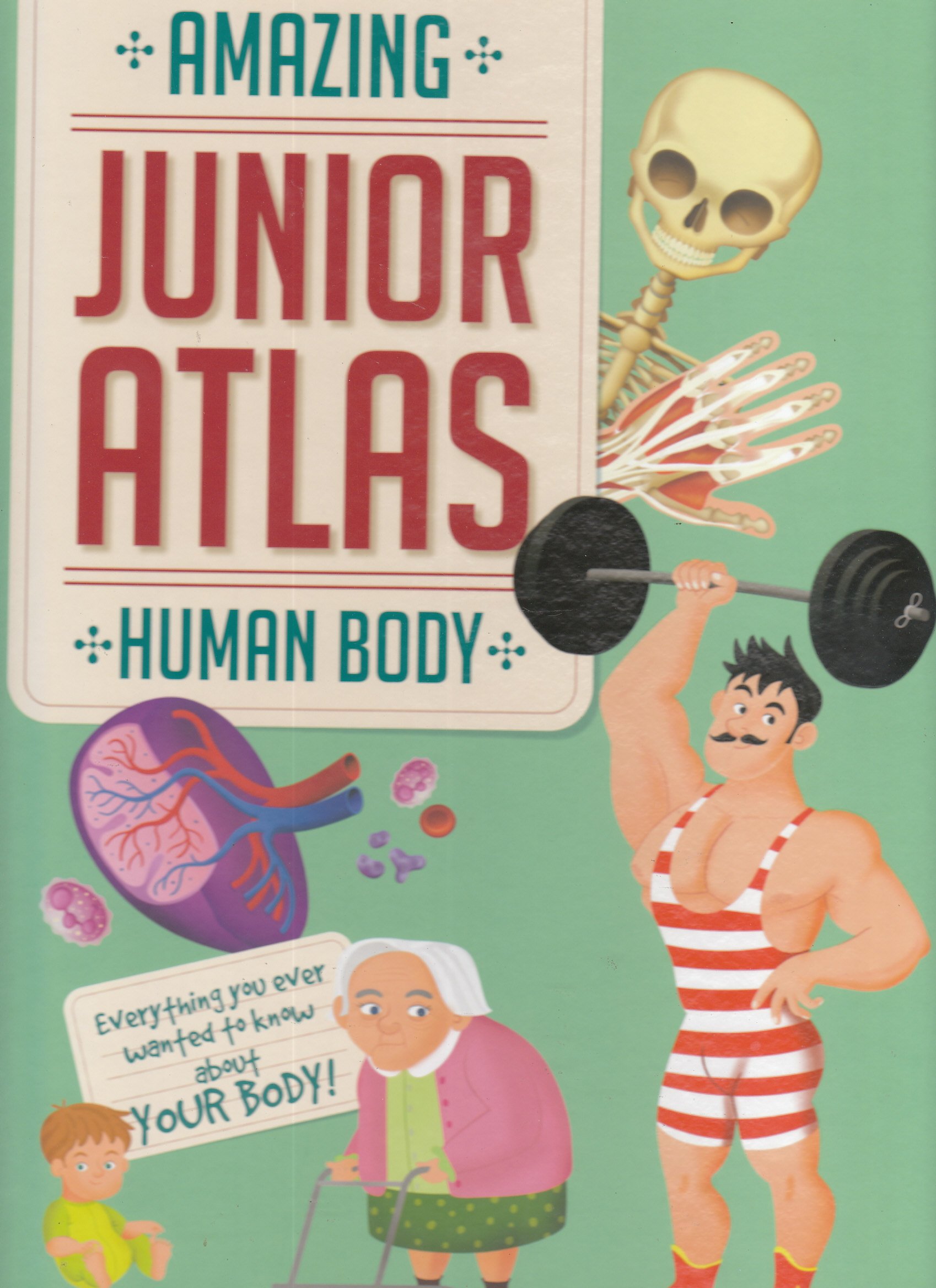 Human body (Amazing Junior Atlas): Yoyo Books: 9789463046404: Amazon ...