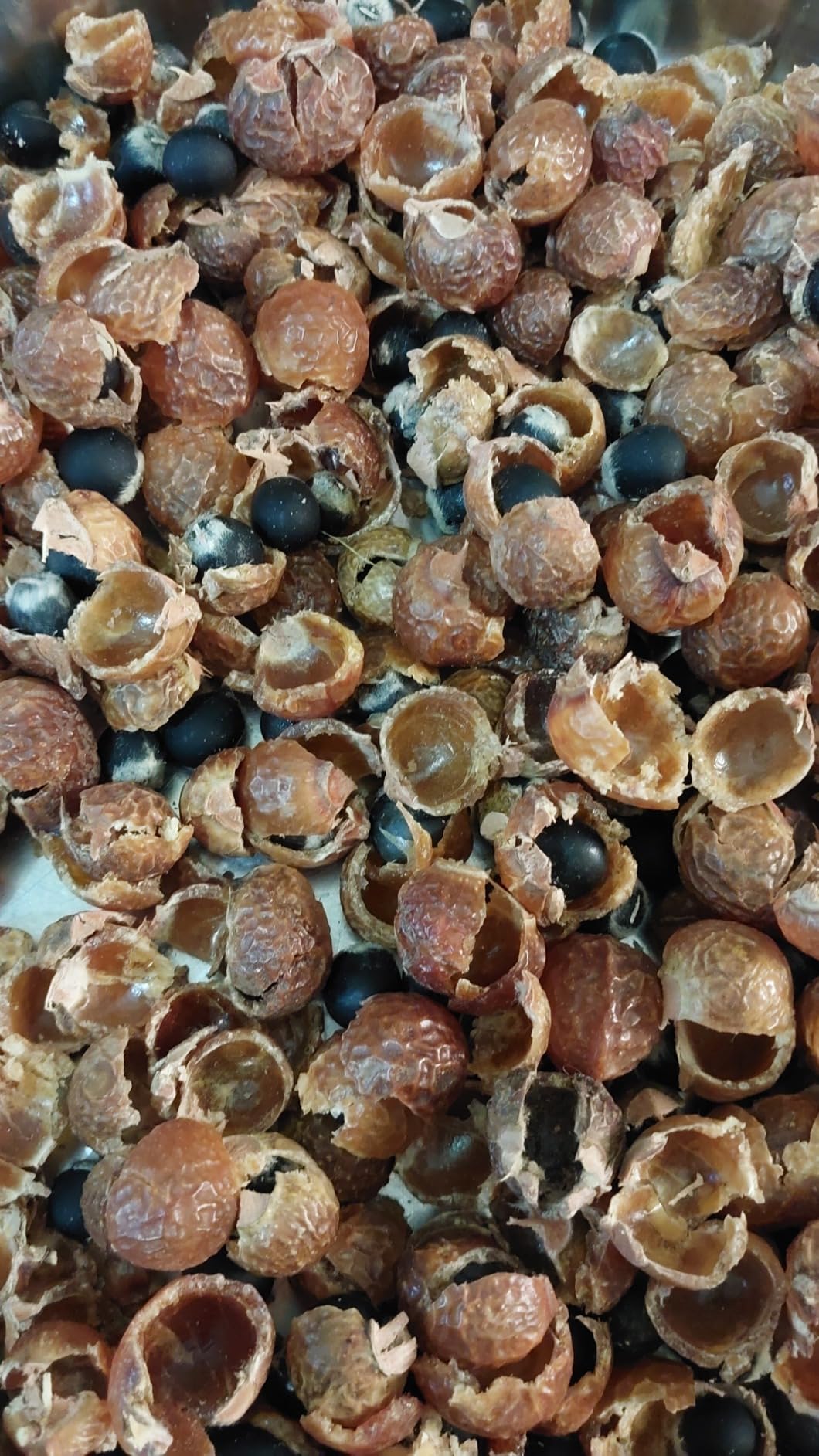 SFT Reetha Dried (Ritha) 1 Kg : Amazon.in: Beauty